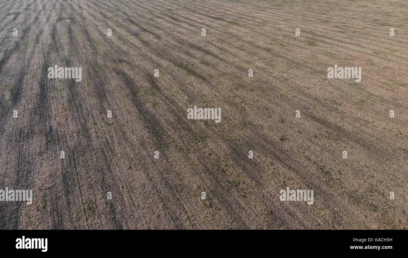 plowed half agricultural field after the harvest of oats. close-up ...