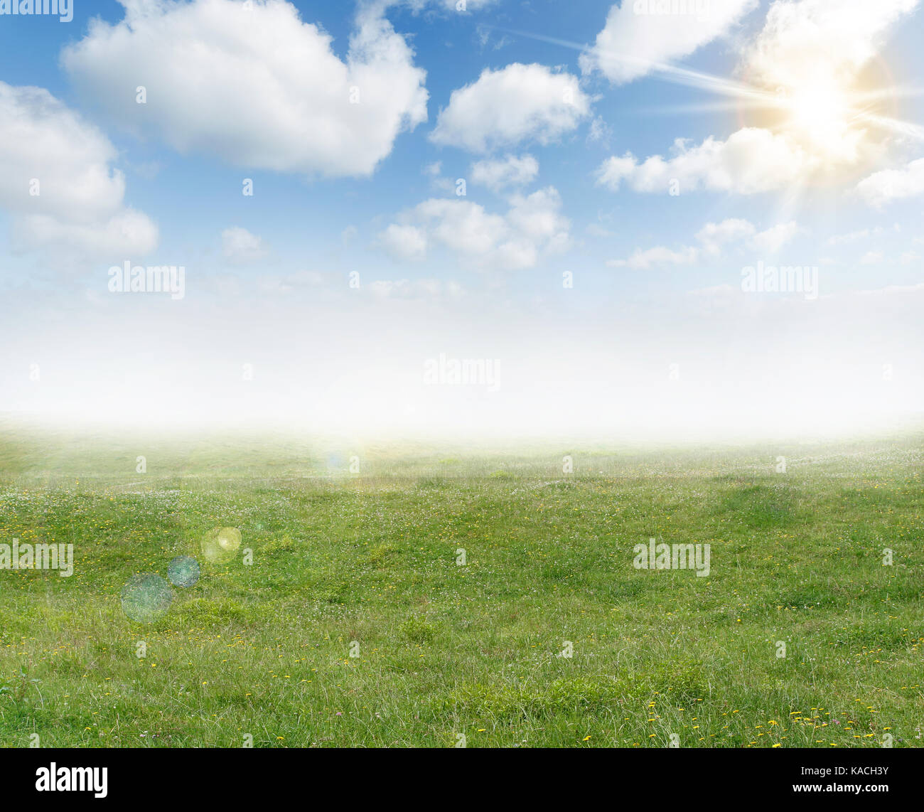 Sunlight, green meadow and blue sky spring background Stock Photo - Alamy