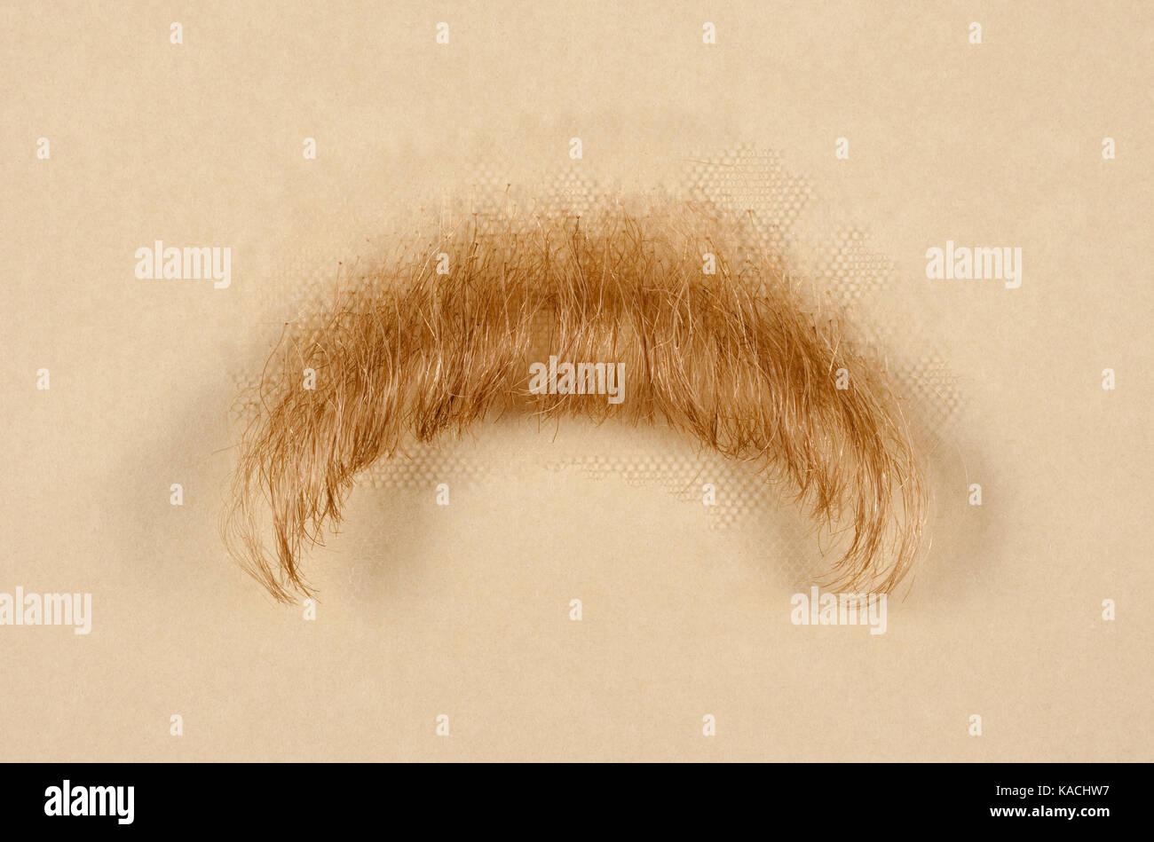 Artificial Mustache for Film and Theater Production Stock Photo - Alamy