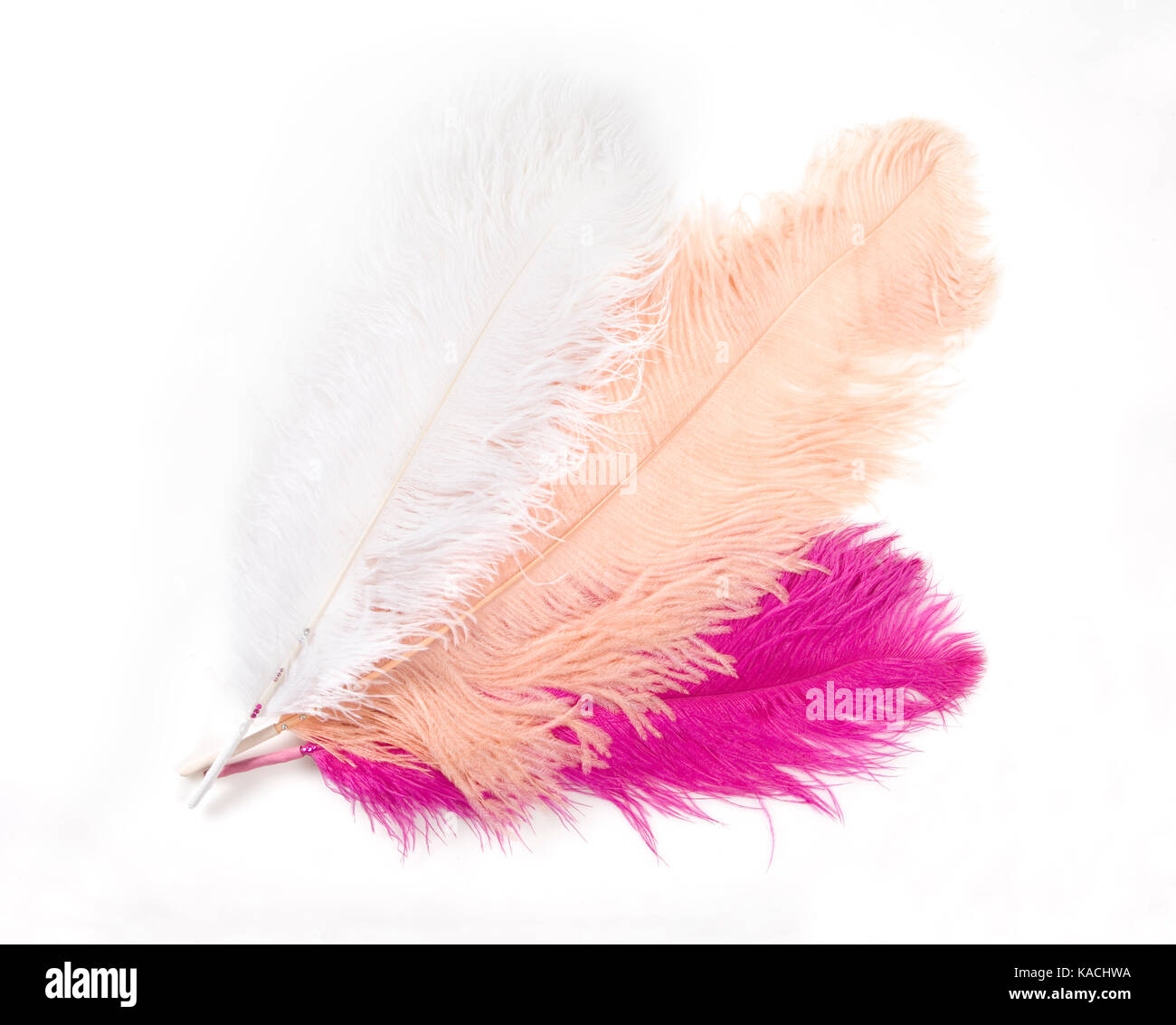 Artificial feathers hi-res stock photography and images - Alamy