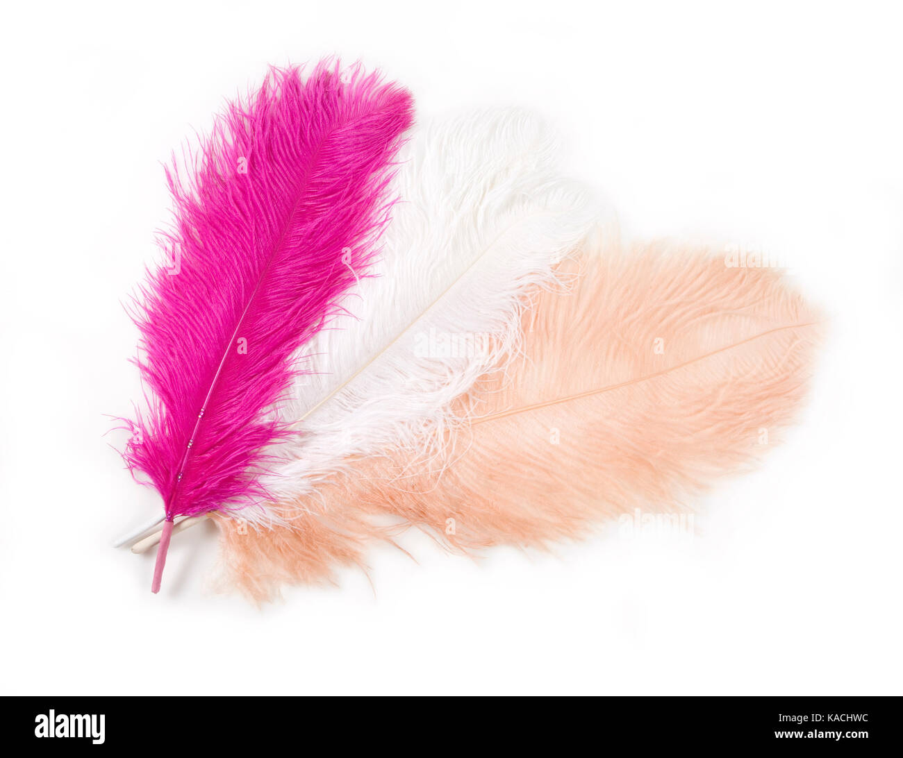 Artificial feathers hi-res stock photography and images - Alamy