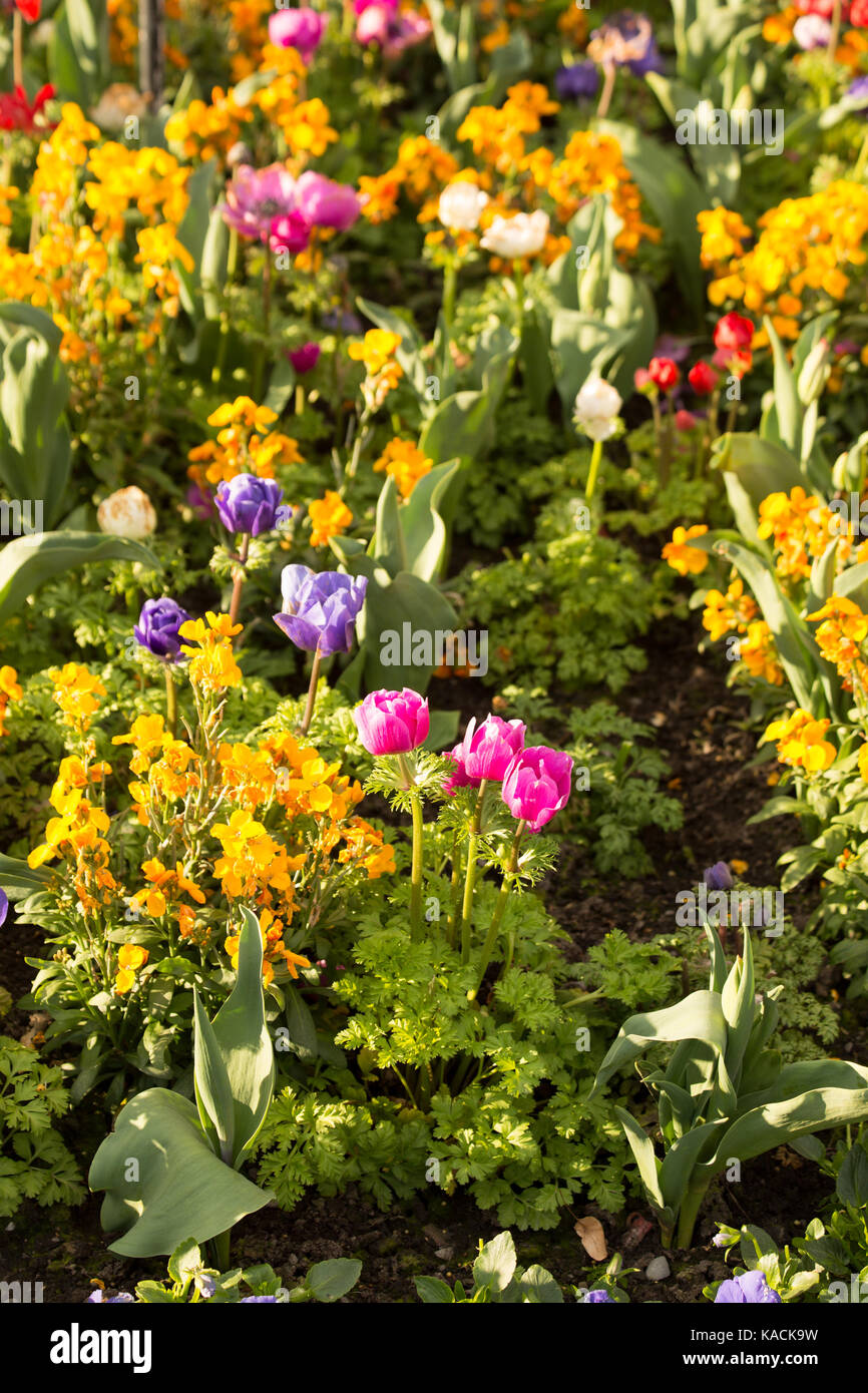 Christchurch Hagley Park Spring Stock Photos & Christchurch Hagley Park ...