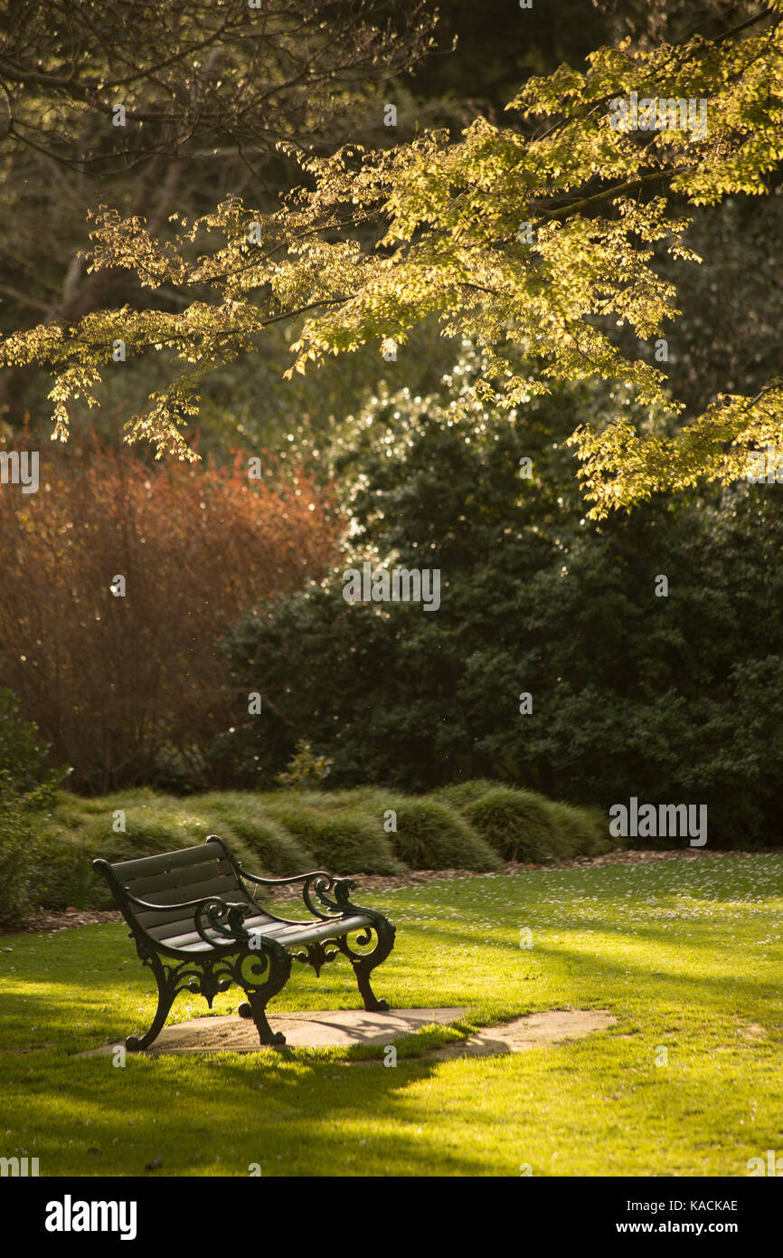 Christchurch hagley park spring hi-res stock photography and images - Alamy
