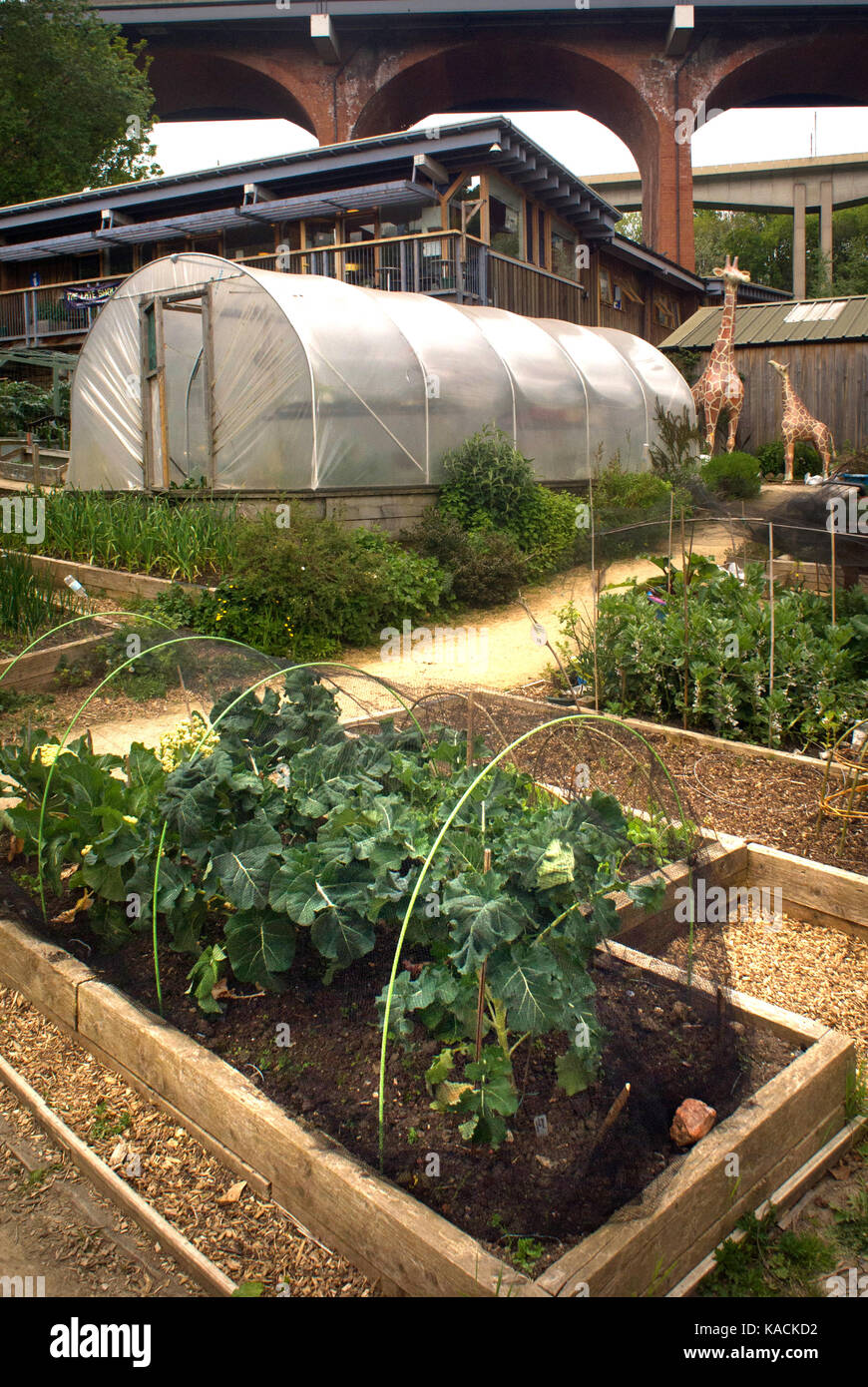 Ouseburn Farm, Byker, Tyne and Wear Stock Photo - Alamy