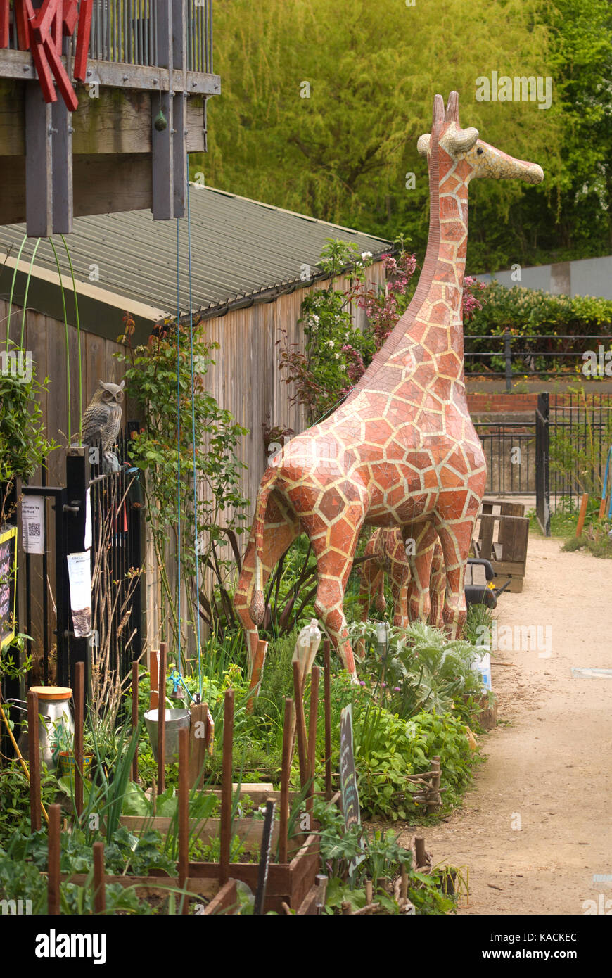 Ouseburn farm newcastle hi-res stock photography and images - Alamy