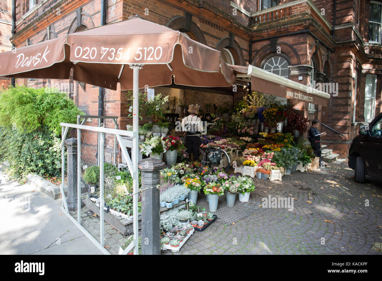 Dansk Flowers Islington Stock Photo - Alamy