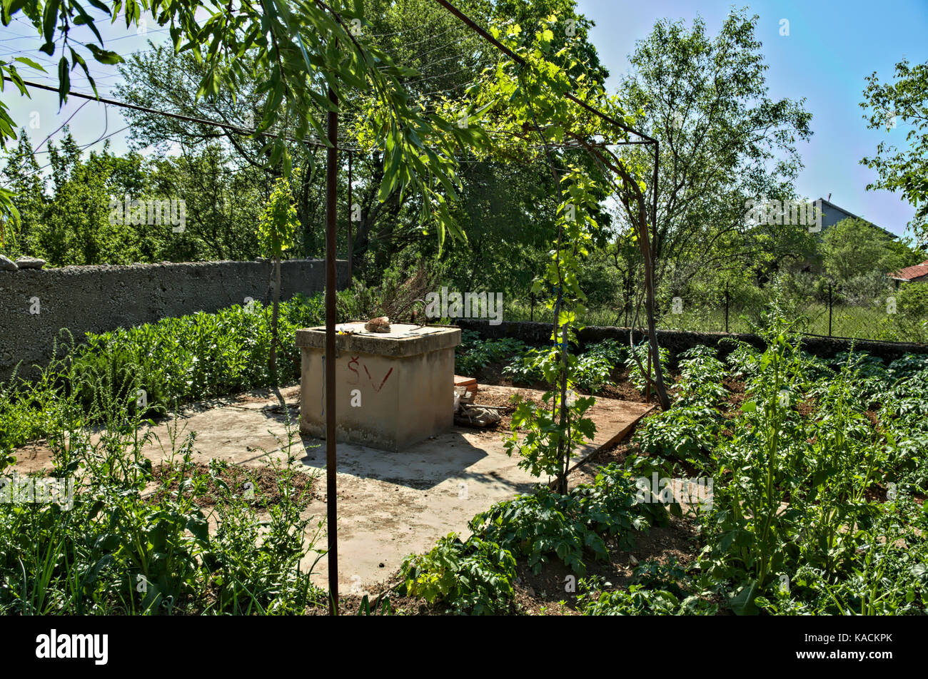 Water well and small garden around it Stock Photo - Alamy