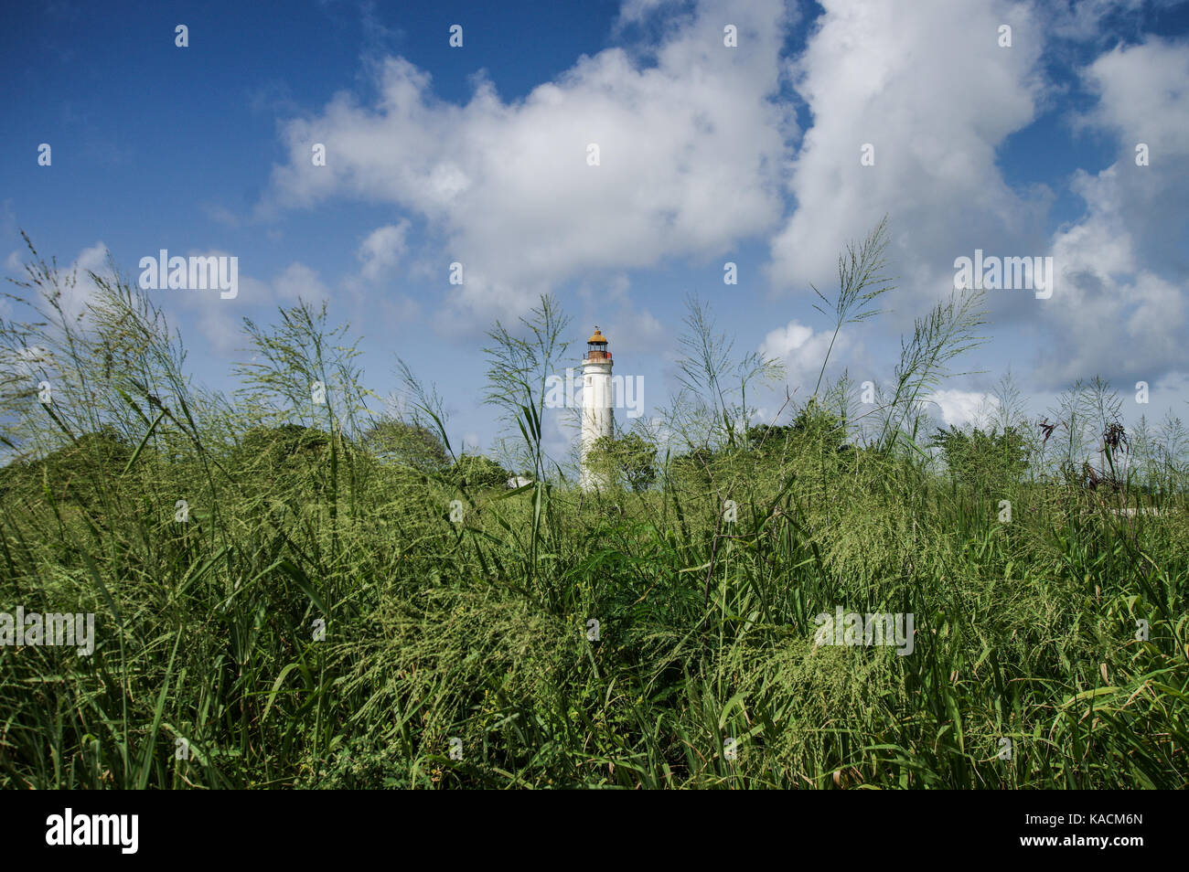 Harrison Point Lighthouse on the West Coast of Barbados Stock Photo - Alamy
