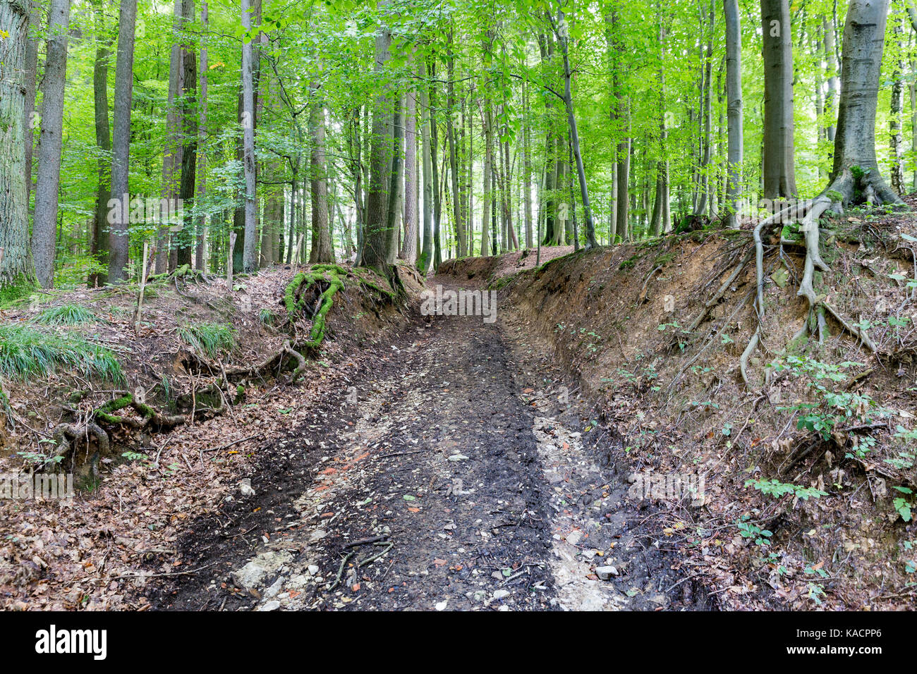 Trecking path in rural hi-res stock photography and images - Alamy