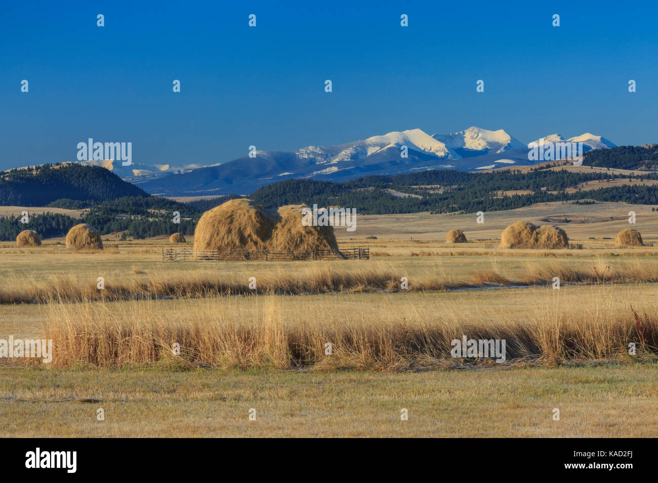 haystacks in fields below peaks of the flint creek range near avon ...
