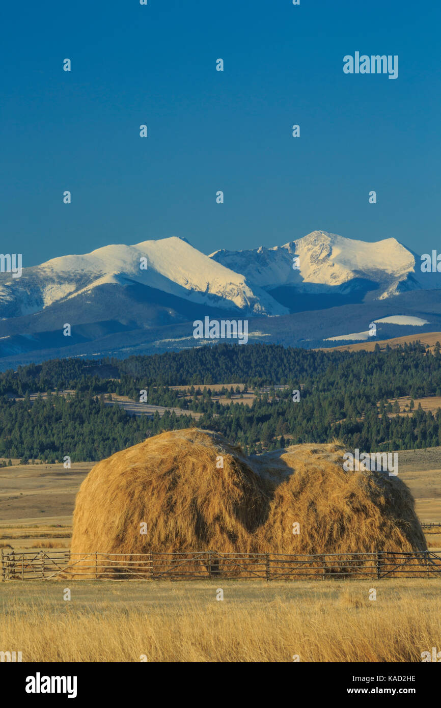 haystacks in fields below peaks of the flint creek range near avon ...