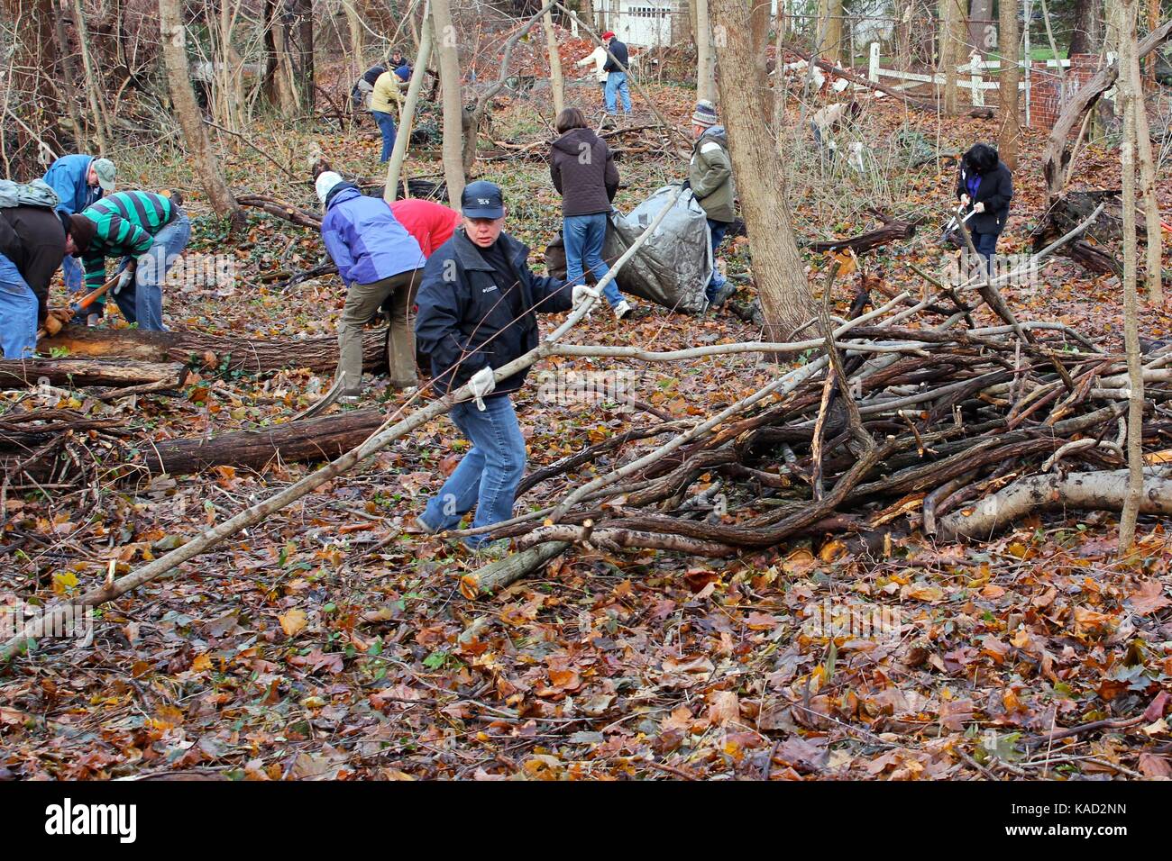 Volunteer clean up usa branches hi-res stock photography and images - Alamy