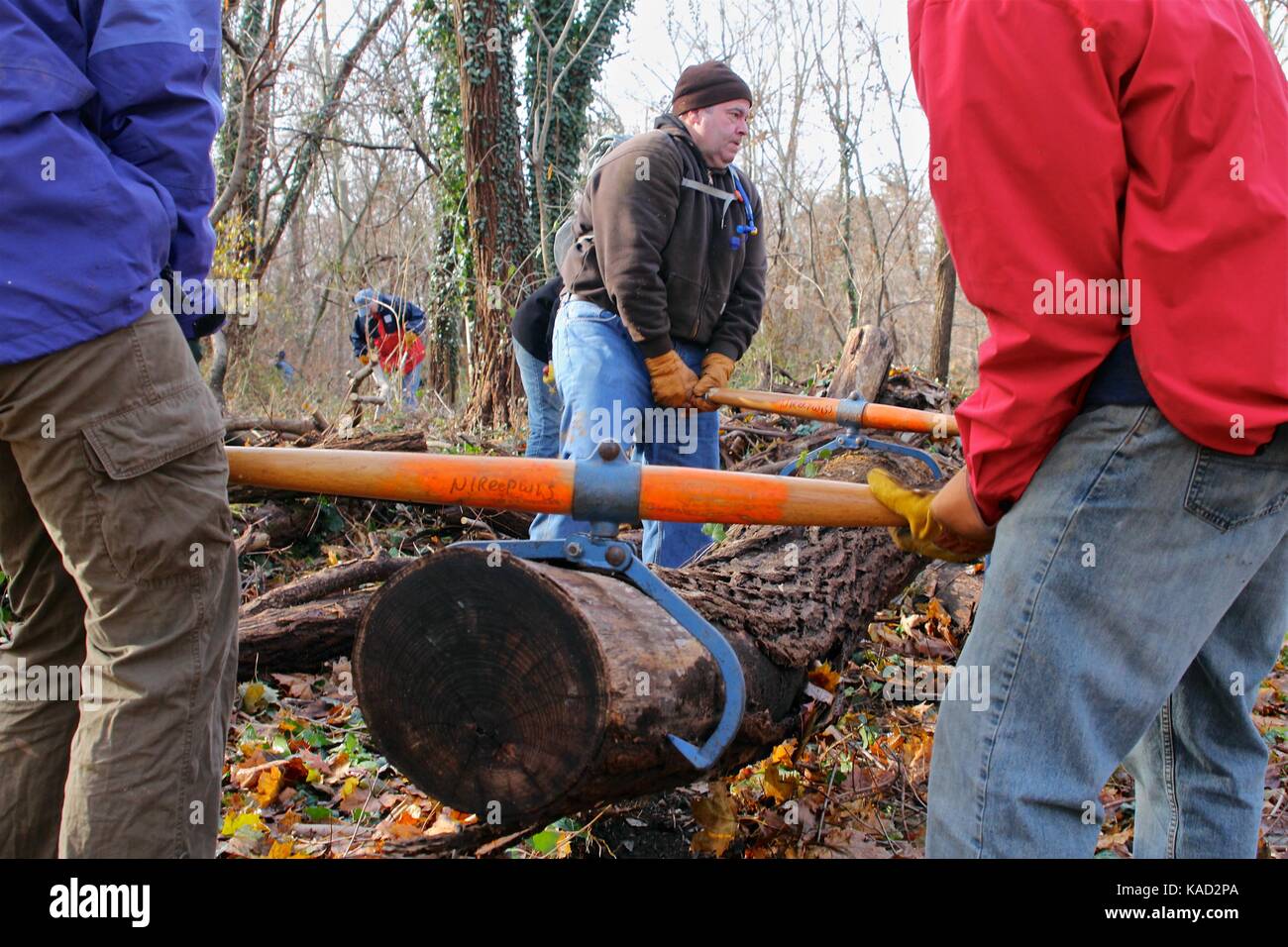 Lifting log hi-res stock photography and images - Alamy