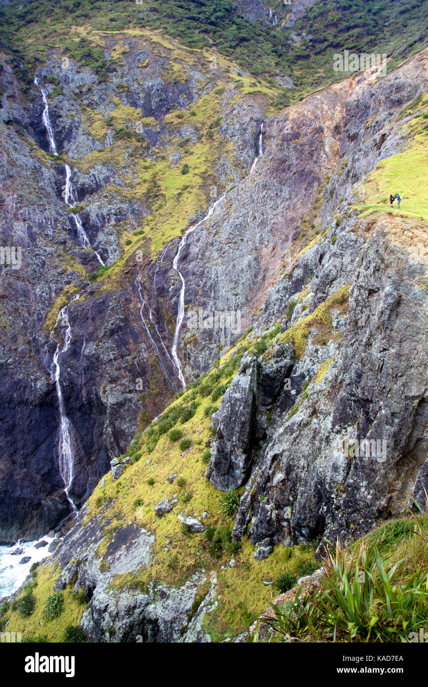 Cliffs and waterfalls along the Cape Brett Track Stock Photo - Alamy