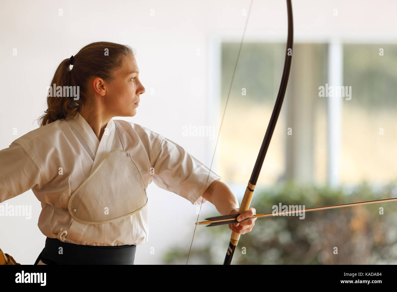 Japanese Bow And Arrow