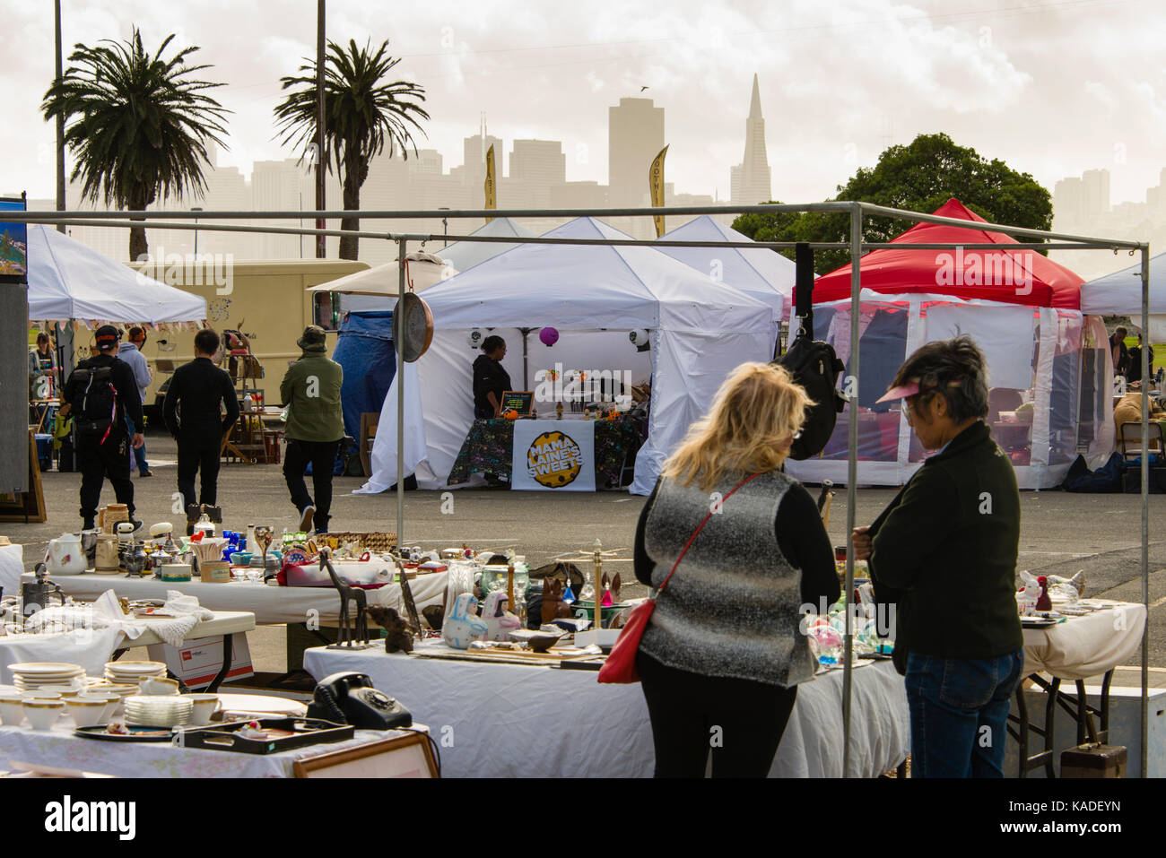 Are Dogs Allowed At Treasure Island Flea Market