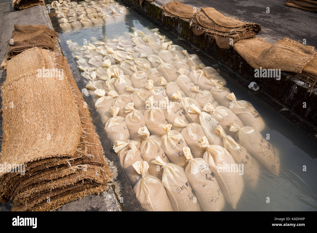 Rice Sprouting, Yutagawa Onsen, Tsuruoka City, Yamagata Prefecture ...