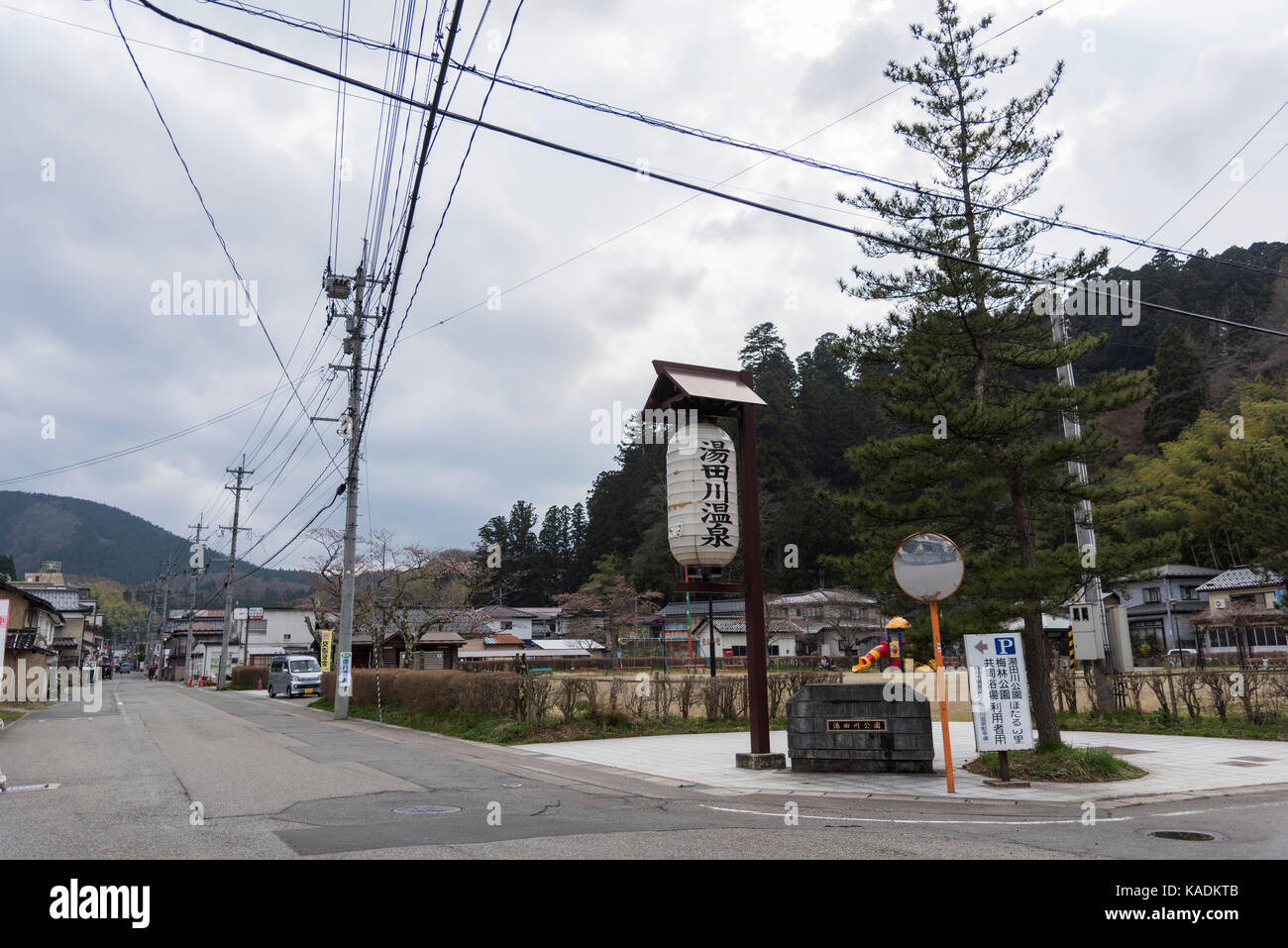 Japanese apricot Festival, Yutagawa Onsen, Tsuruoka City, Yamagata ...