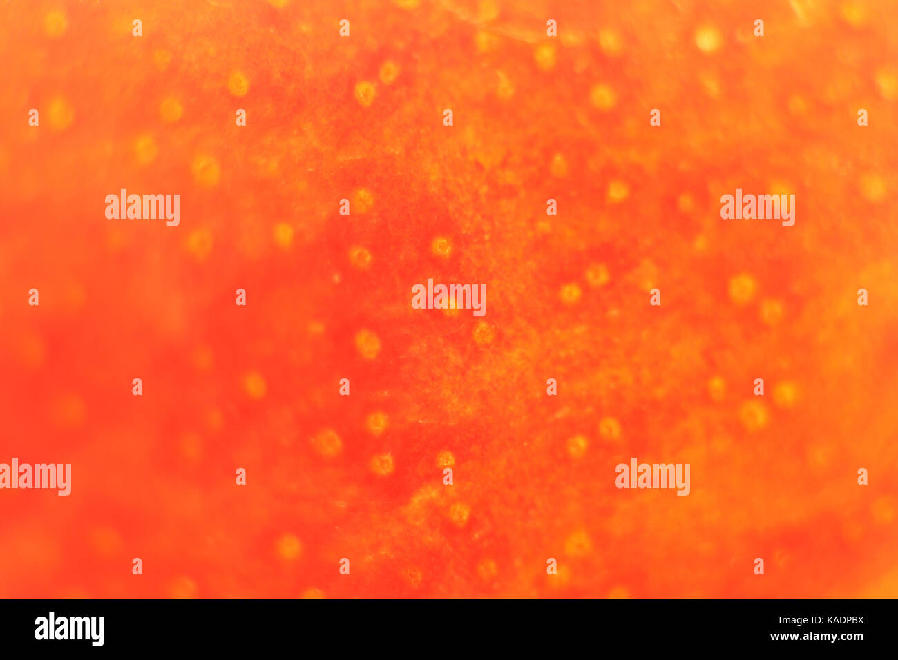 Pear texture hi-res stock photography and images - Alamy