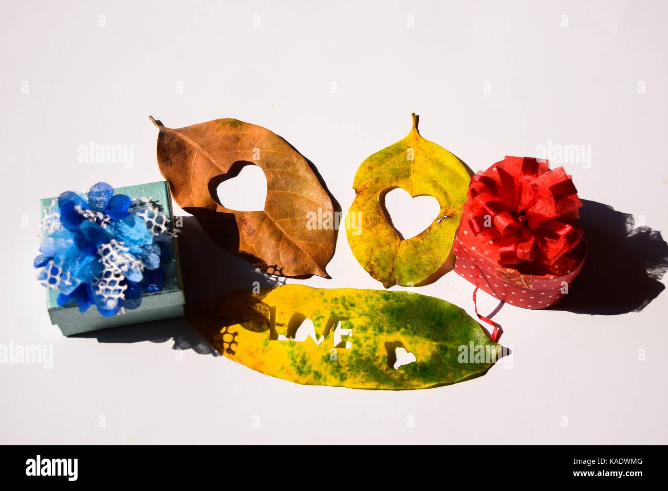 red maple leaf with heart background Stock Photo - Alamy