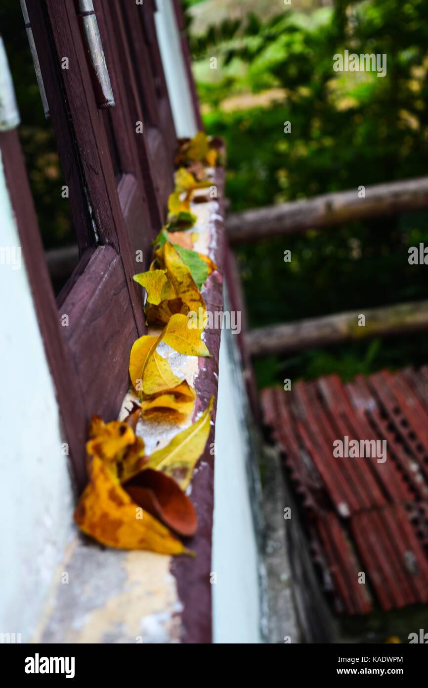autumn background with leaves on window Stock Photo - Alamy
