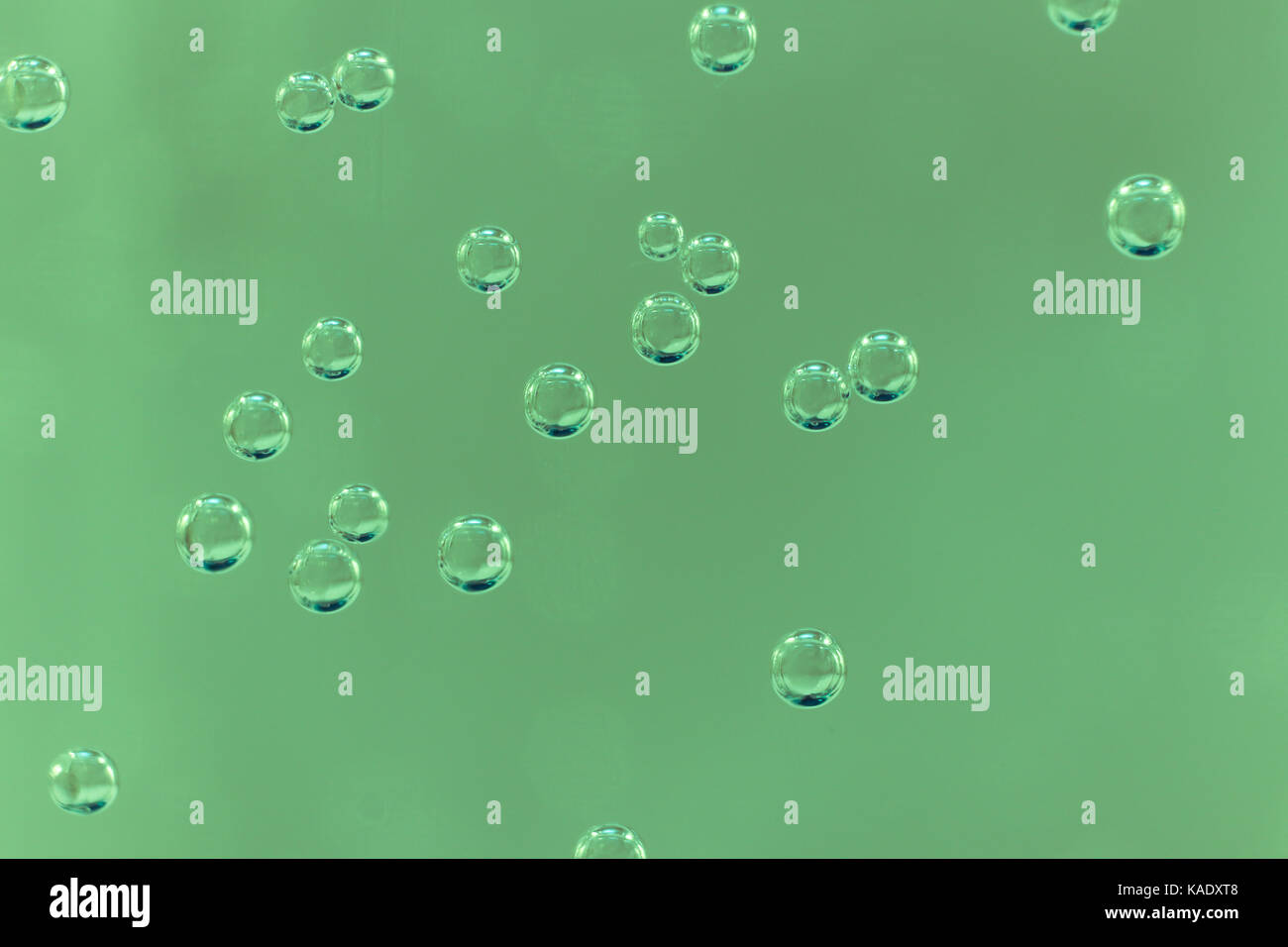 Green bubbles macro closeup background texture Stock Photo - Alamy