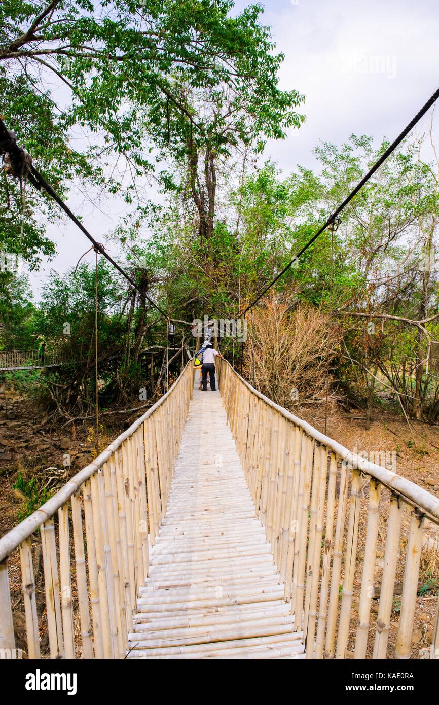 Rope swinging bridge forest hi-res stock photography and images - Alamy
