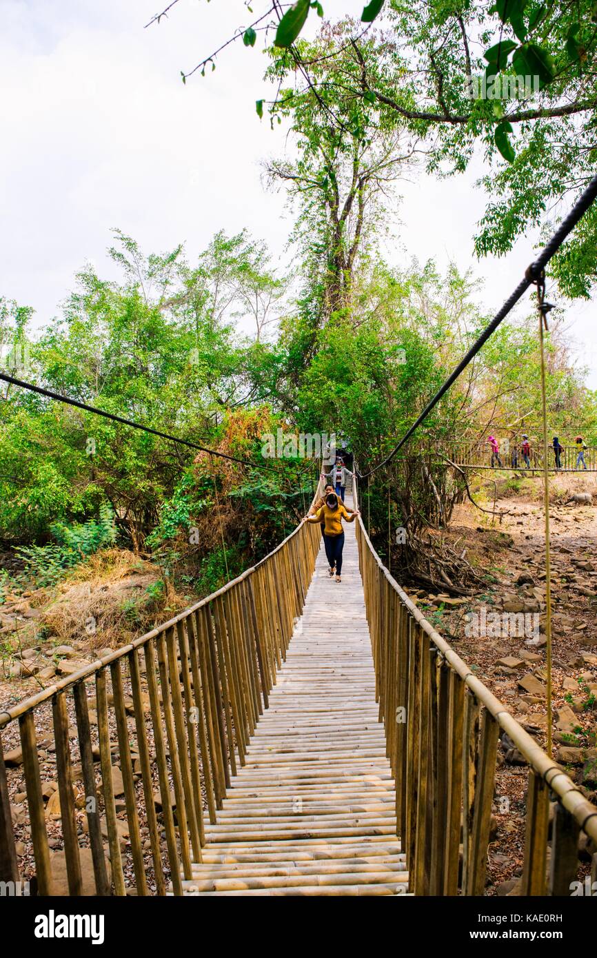 Rope swinging bridge forest hi-res stock photography and images - Alamy