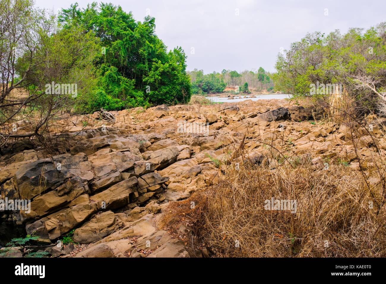 coastal red rocks Stock Photo - Alamy
