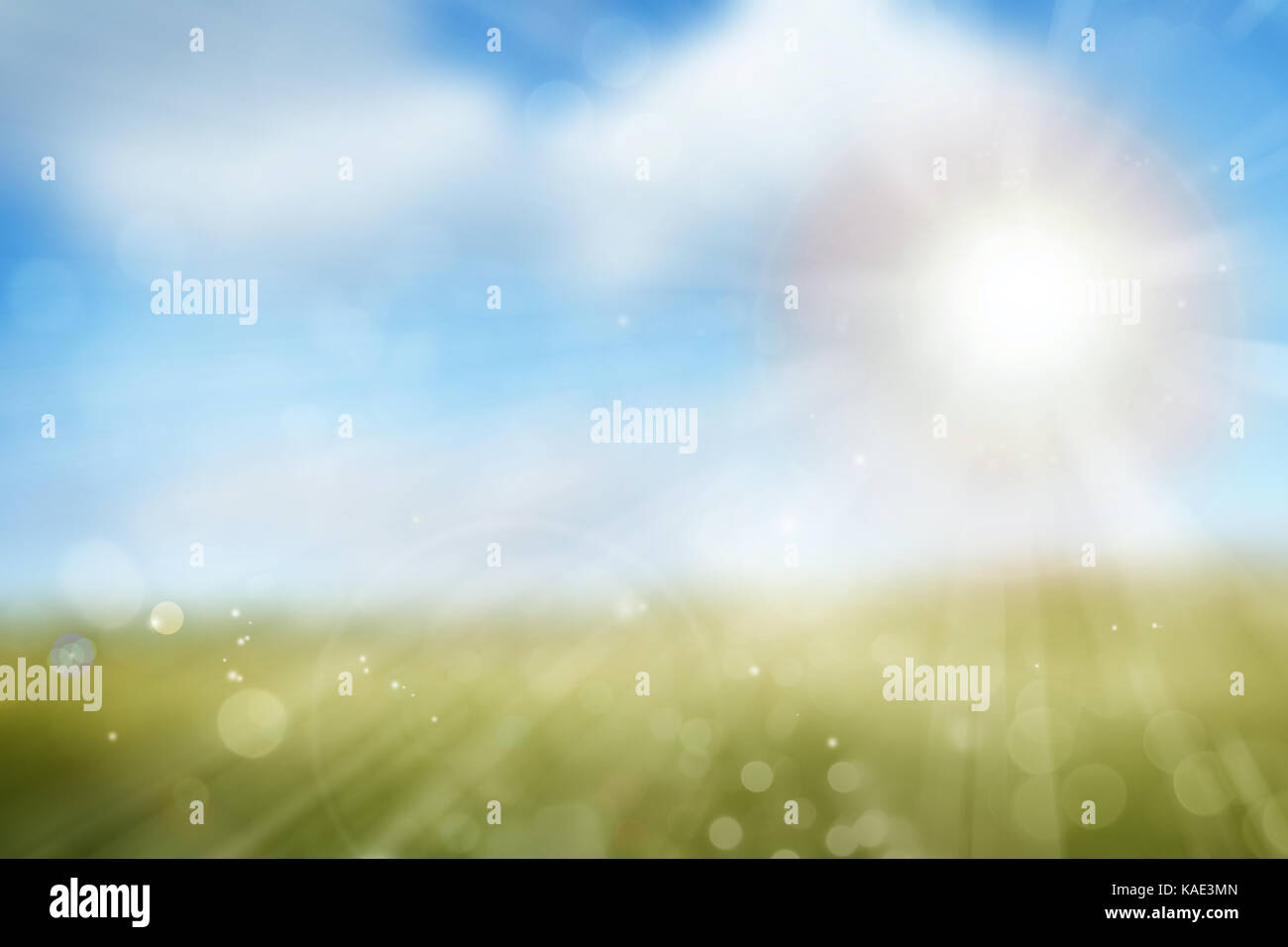 Sunlight, green meadow and blue sky spring background Stock Photo - Alamy