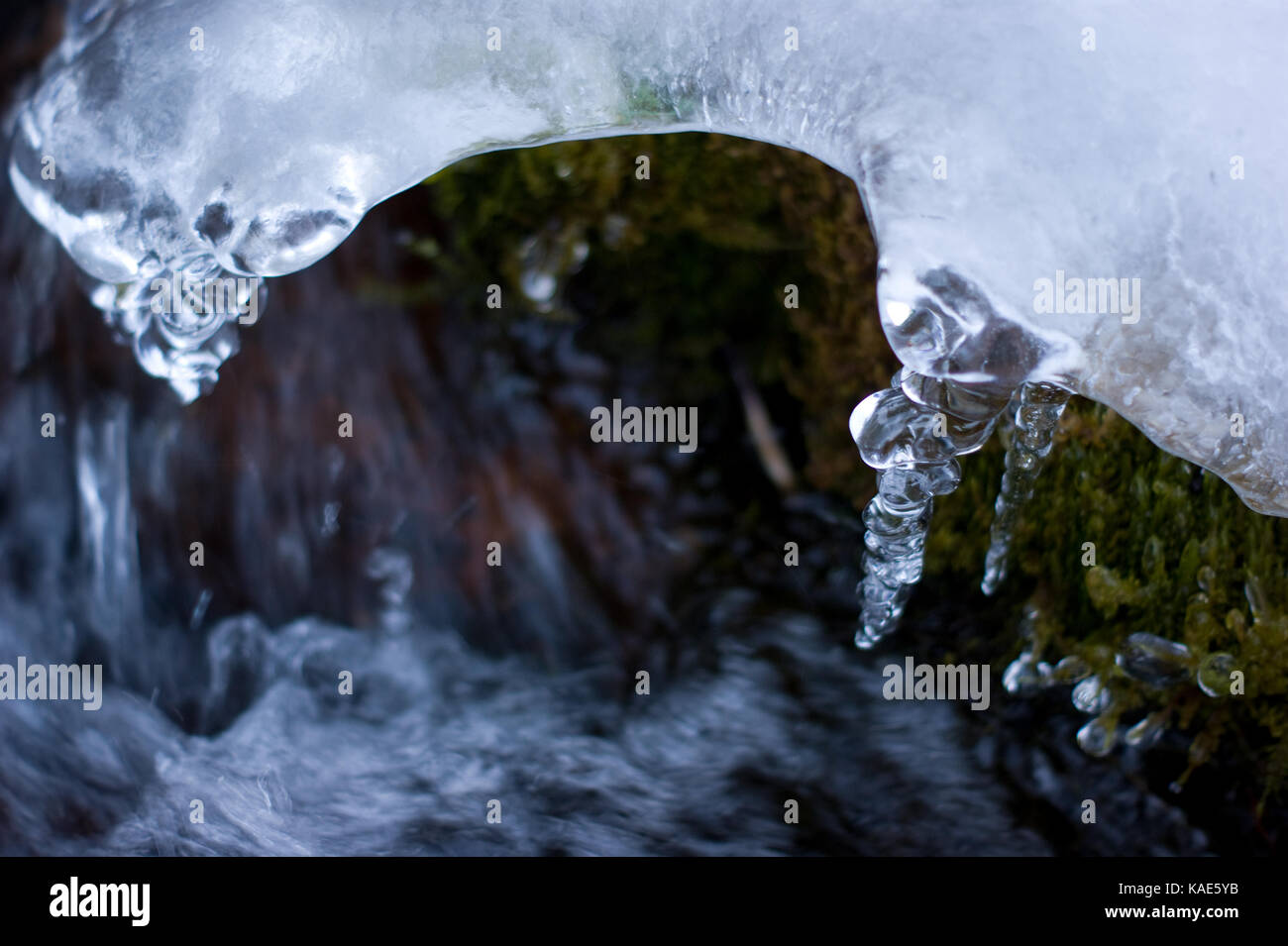 Ice forming by the creek Stock Photo - Alamy