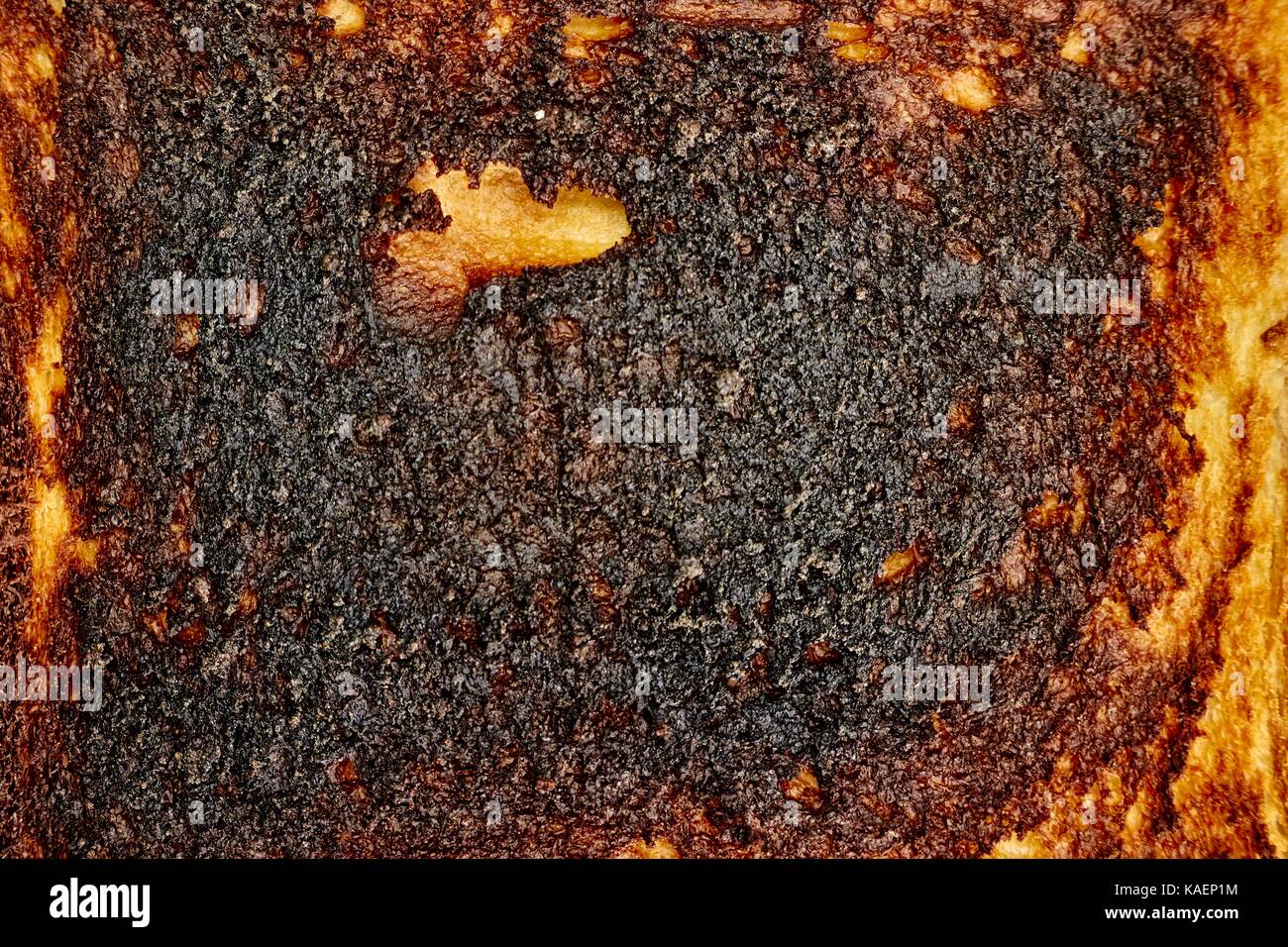 A studio photo of burnt toast Stock Photo - Alamy