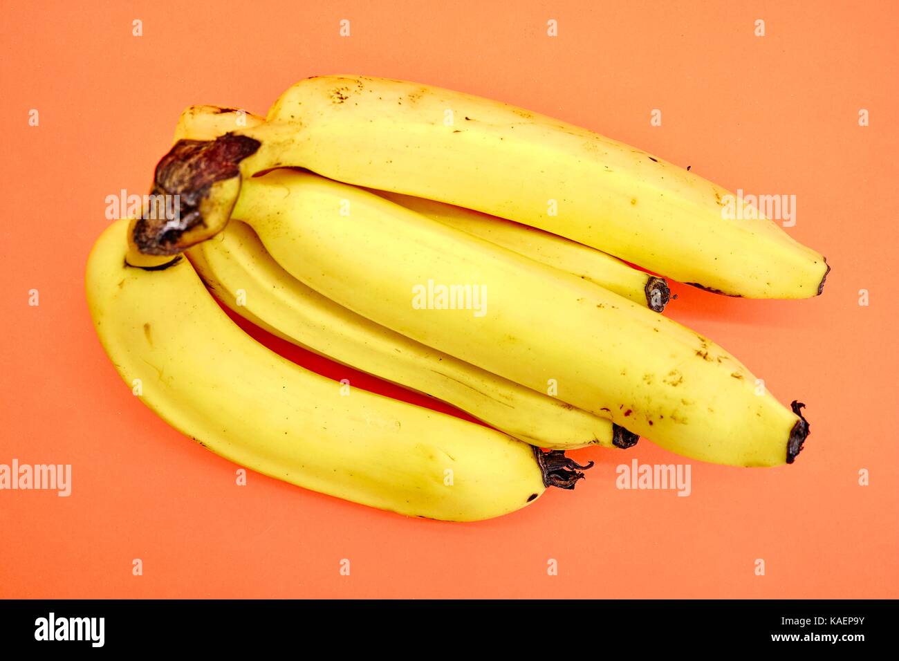 A studio photo of yellow bananas Stock Photo - Alamy