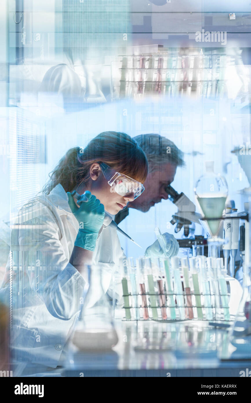 Working in laboratory scientific hi-res stock photography and images ...