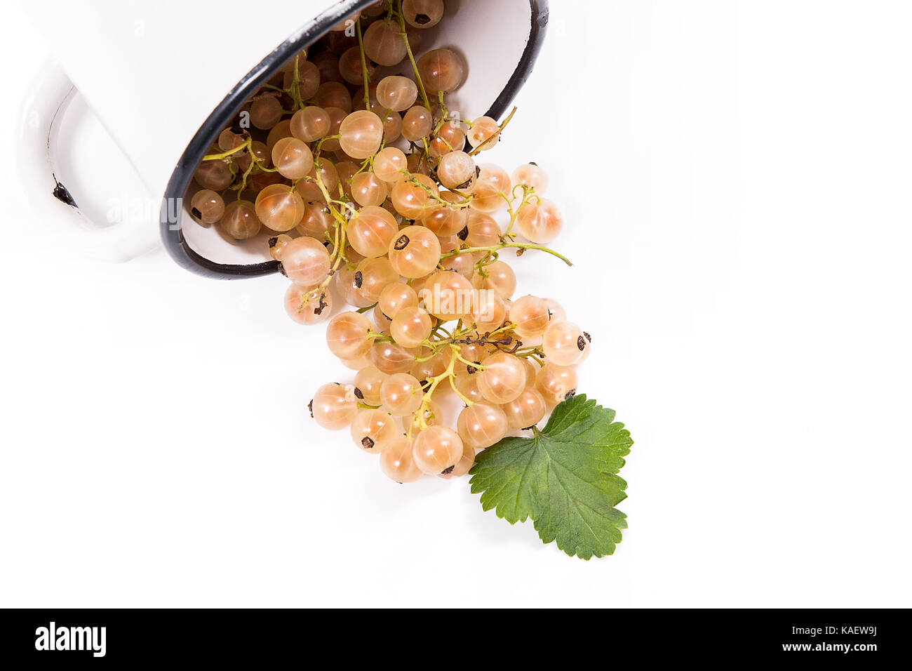 Close up view of white cup with white currant berry isolated on white ...