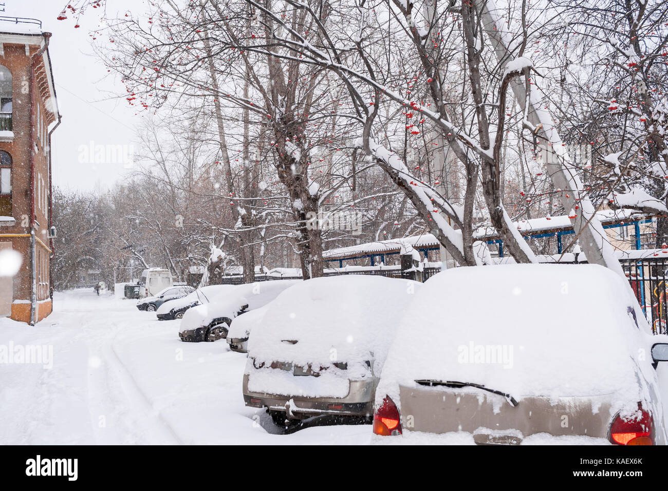 Row parked snow-covered cars and road in the courtyard during snowfall ...