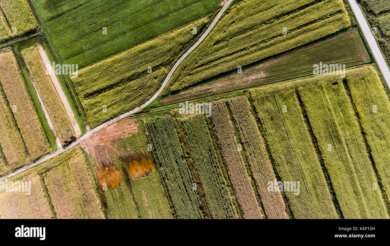 Top view of fields Stock Photo - Alamy