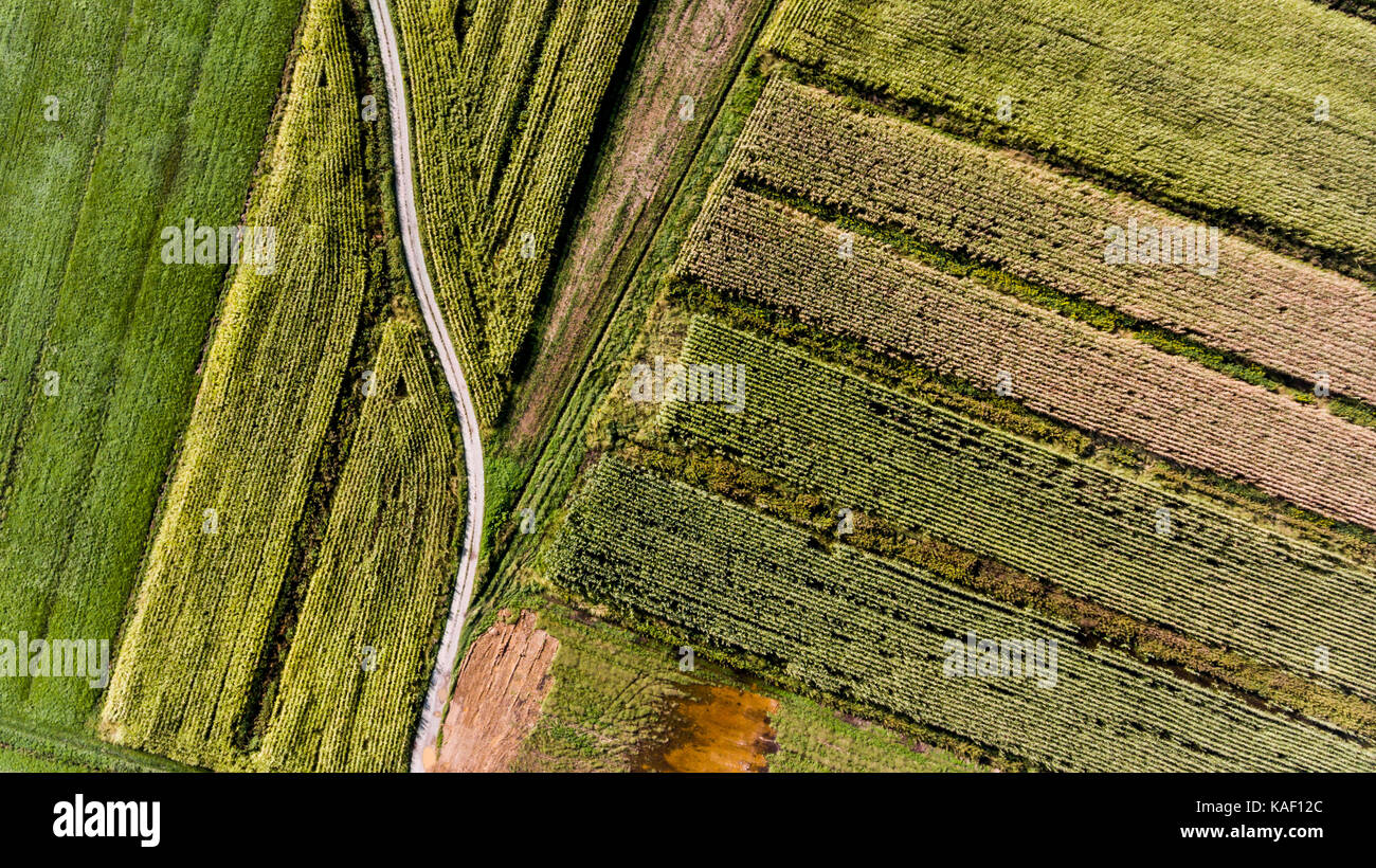 Top view of fields Stock Photo - Alamy