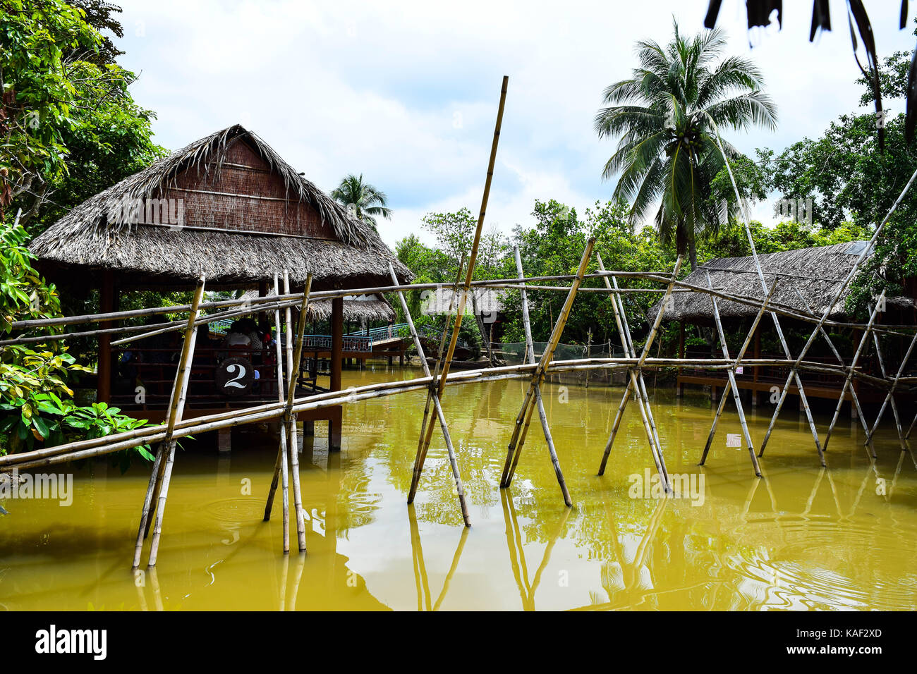 A foot bridge in the rural areas in Vietnam Stock Photo - Alamy