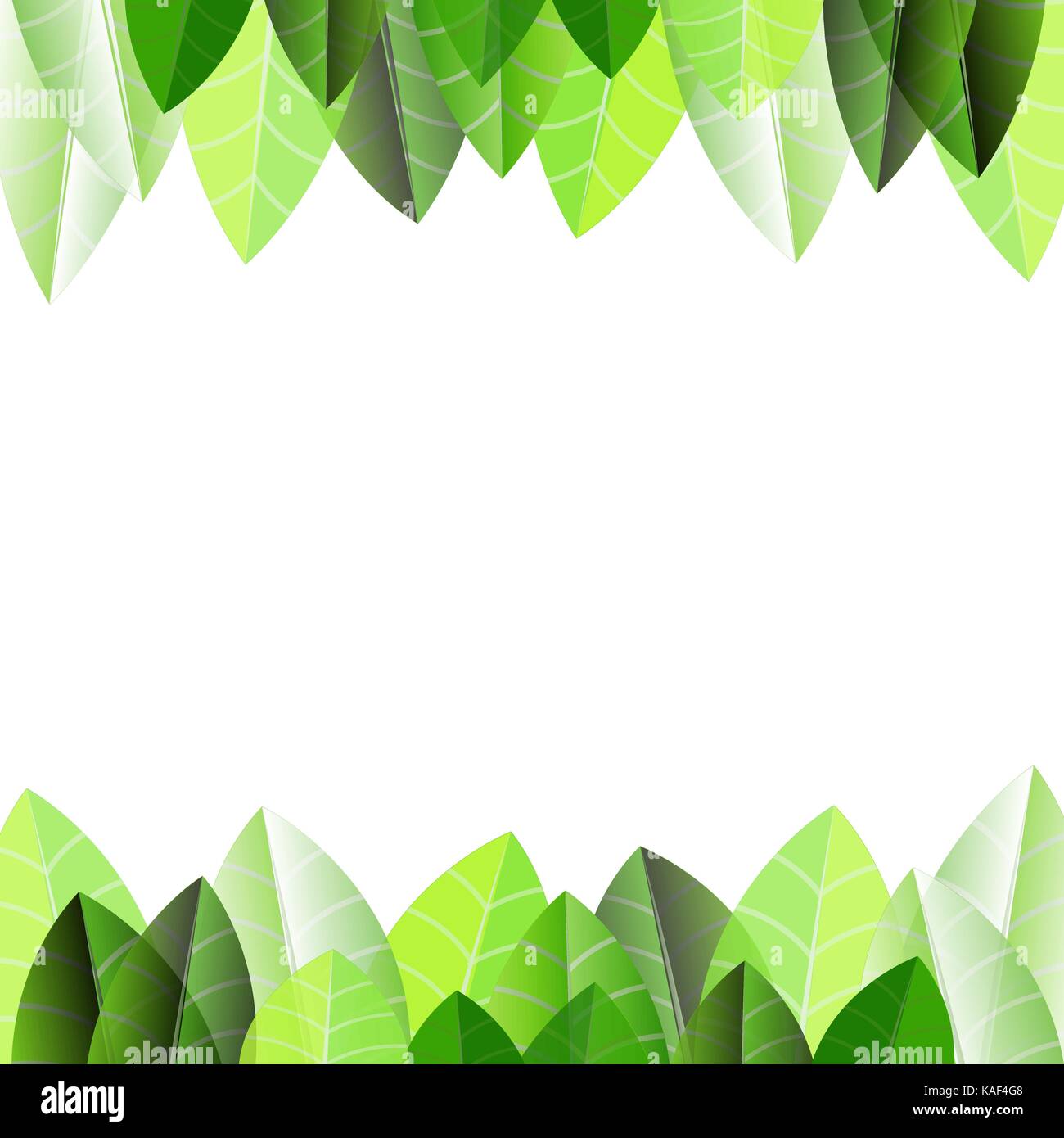 Plumeria leaves frame pattern on white background Stock Vector Image ...
