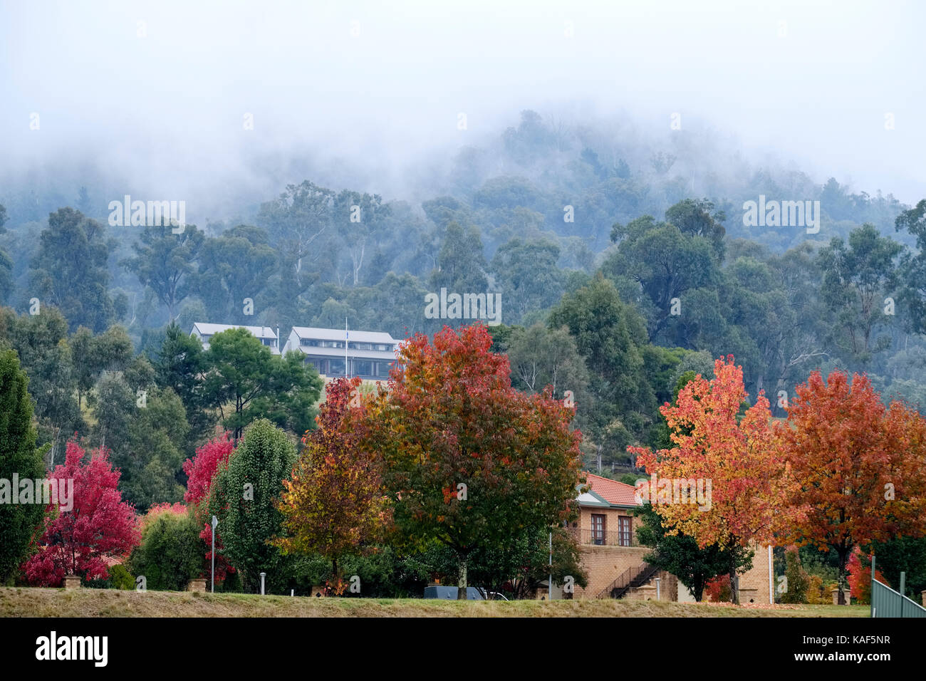 Australia victorian alps hi-res stock photography and images - Alamy
