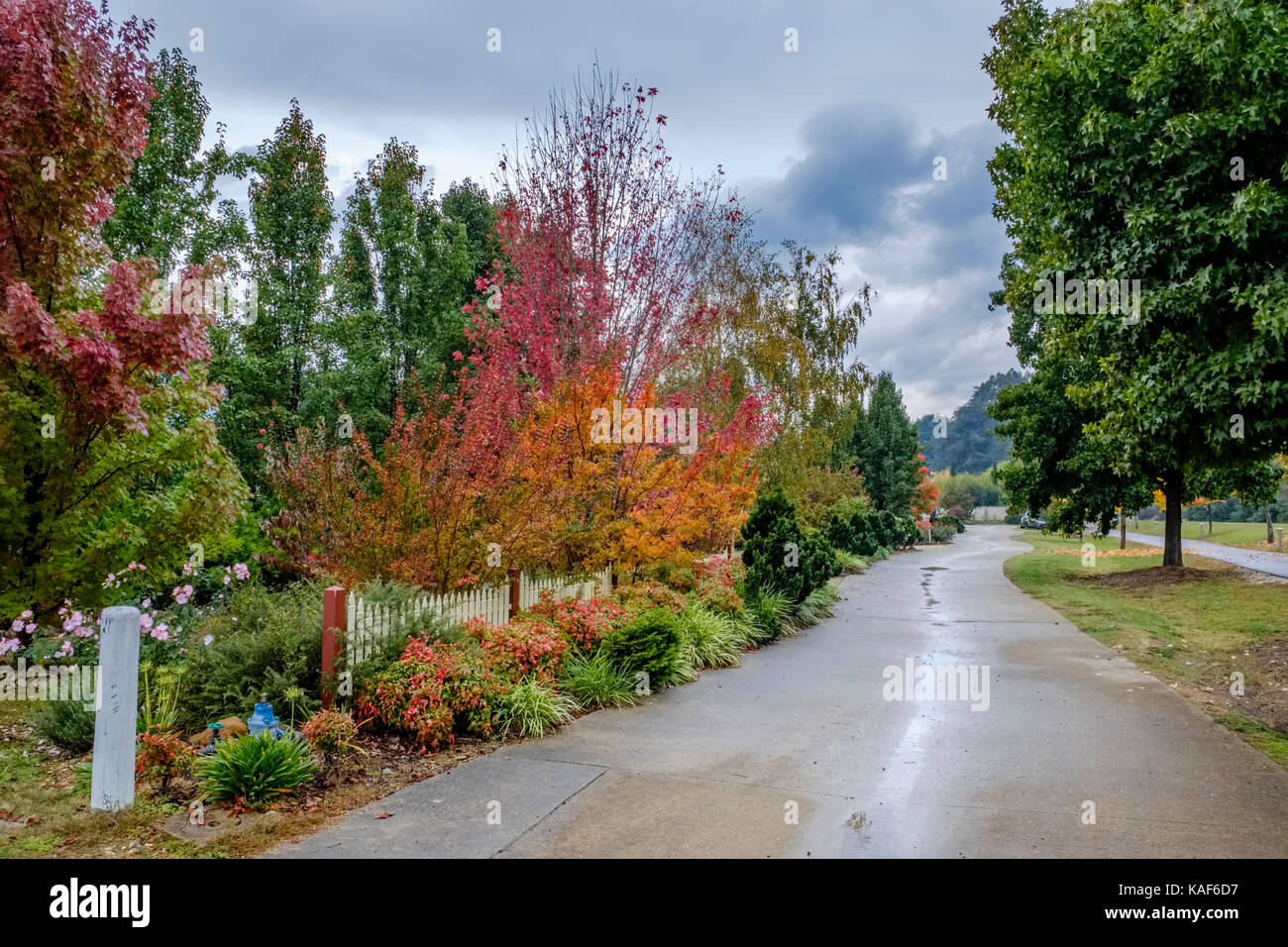 Autumn leaves add spectacular colour to the Victorian High Country town ...
