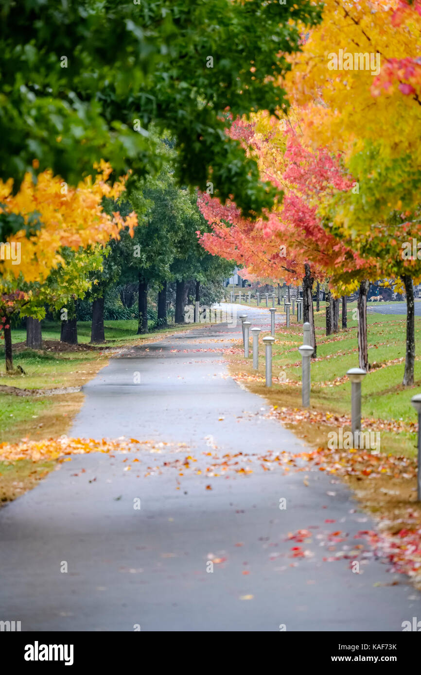 Autumn in the Australian Alps Stock Photo - Alamy