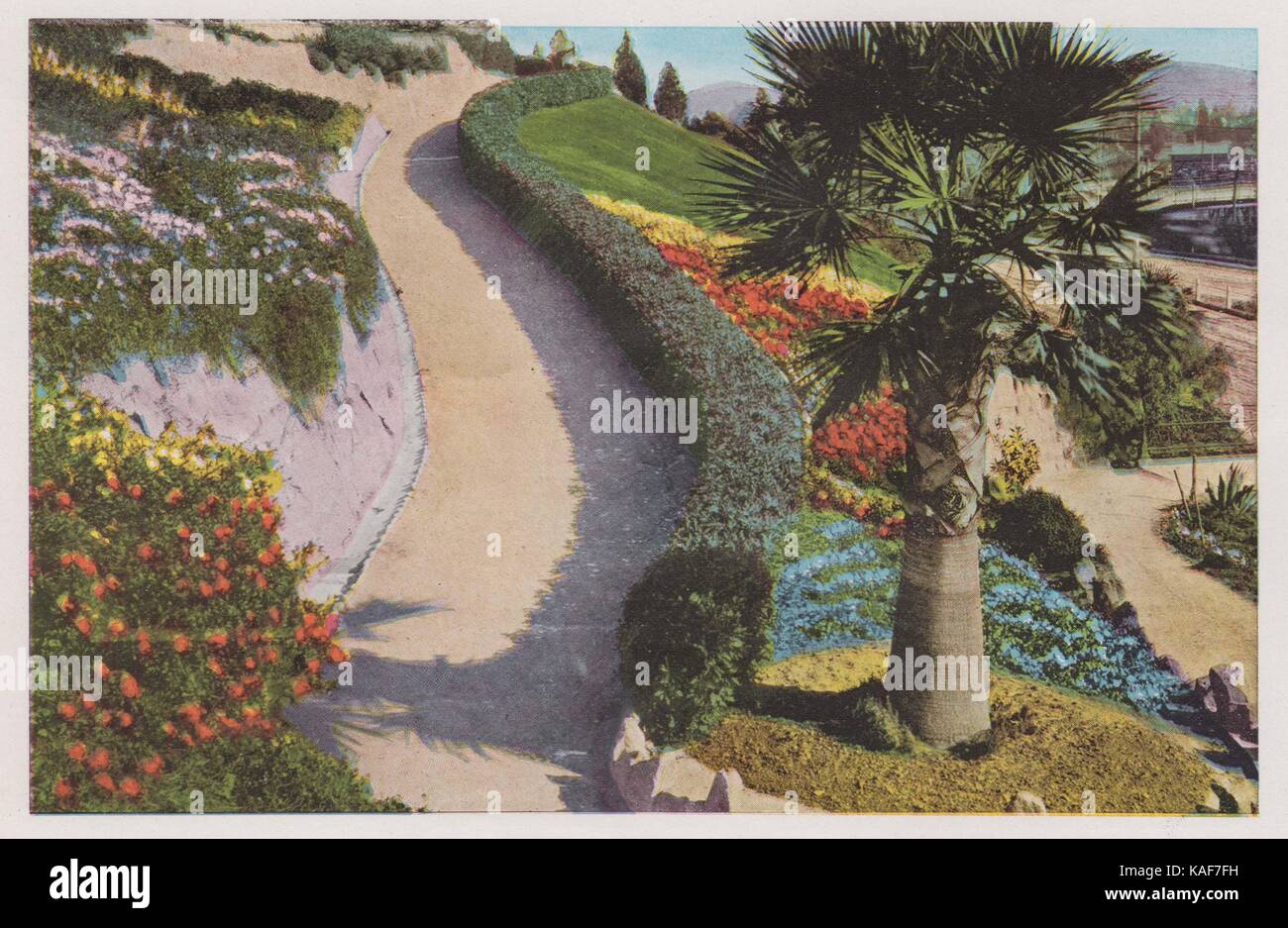 Elysian Park, Los Angeles Stock Photo - Alamy