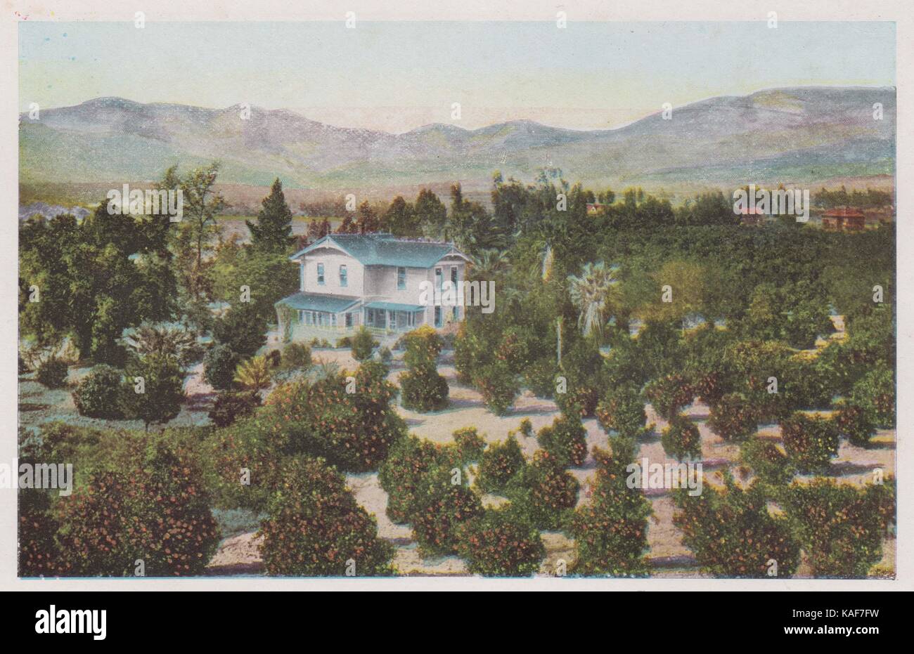 Orange groves california hi-res stock photography and images - Alamy