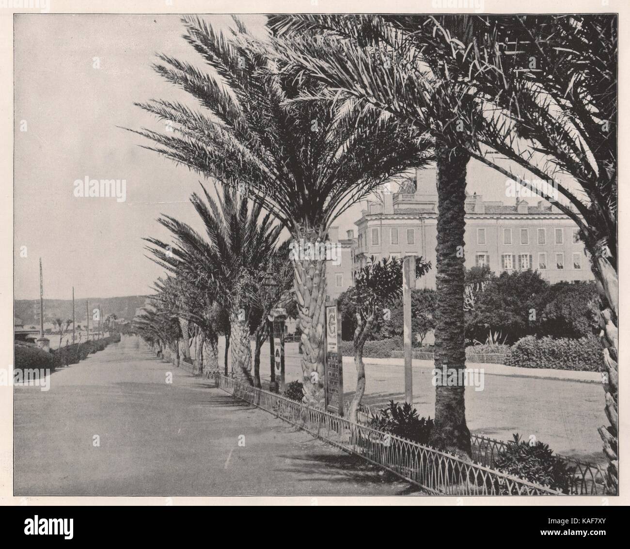 Promenade des Anglais, Nice, France Stock Photo - Alamy
