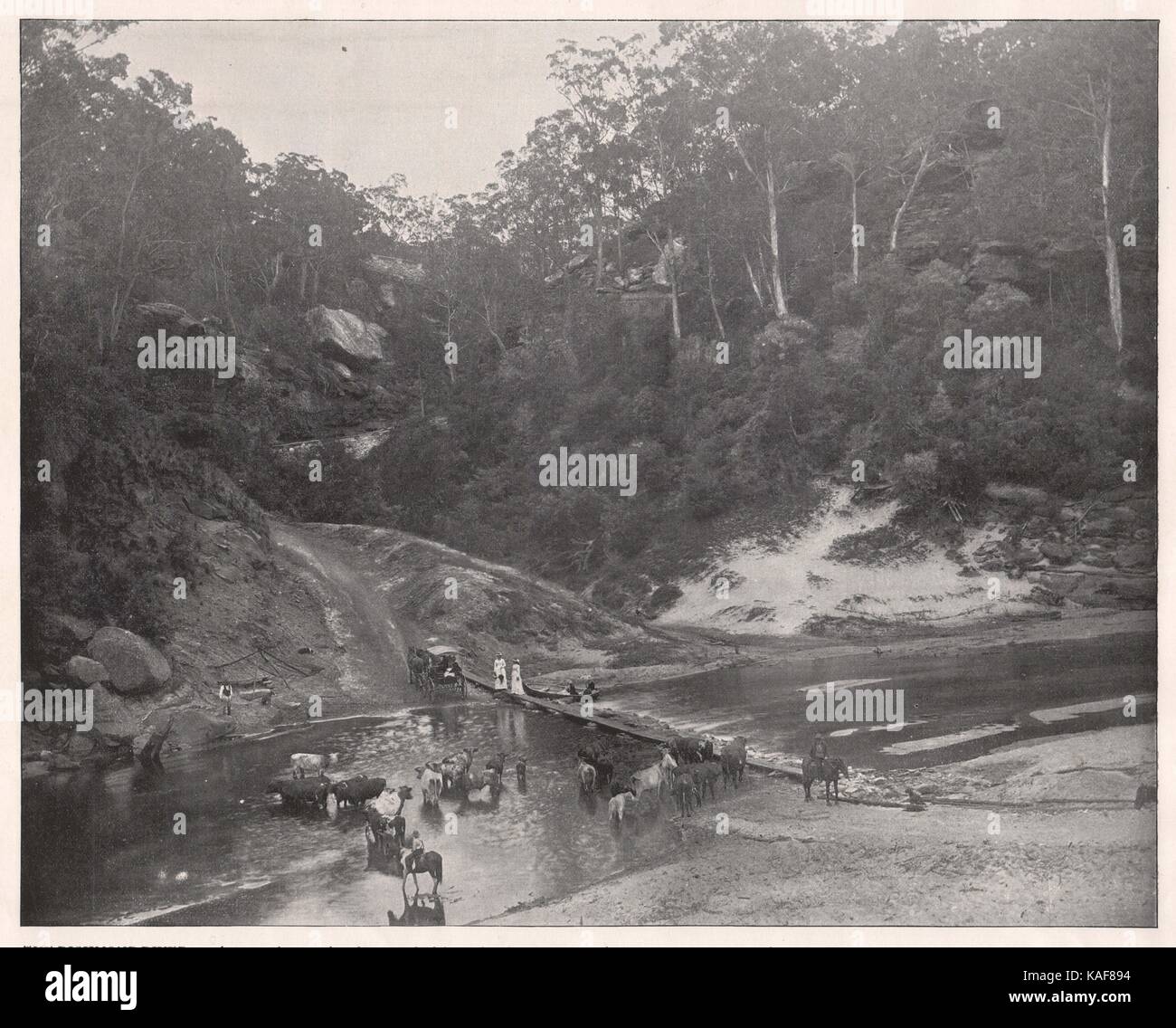 The Richmond River Stock Photo - Alamy