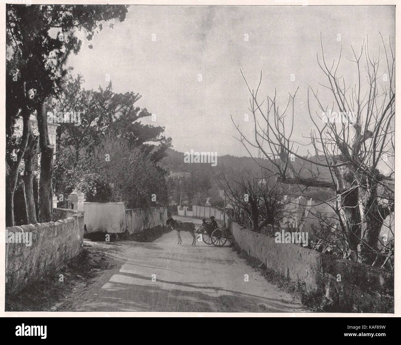 A Road in Port Royal, Bermuda Stock Photo - Alamy