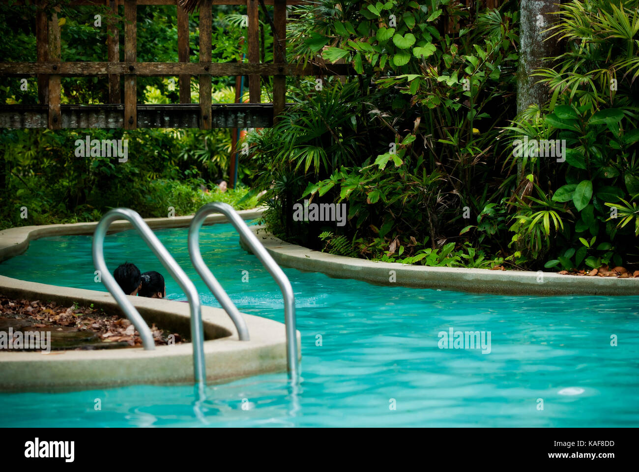 Jungle Swimming pool at Resort - Swimming pool at sea side covering by ...