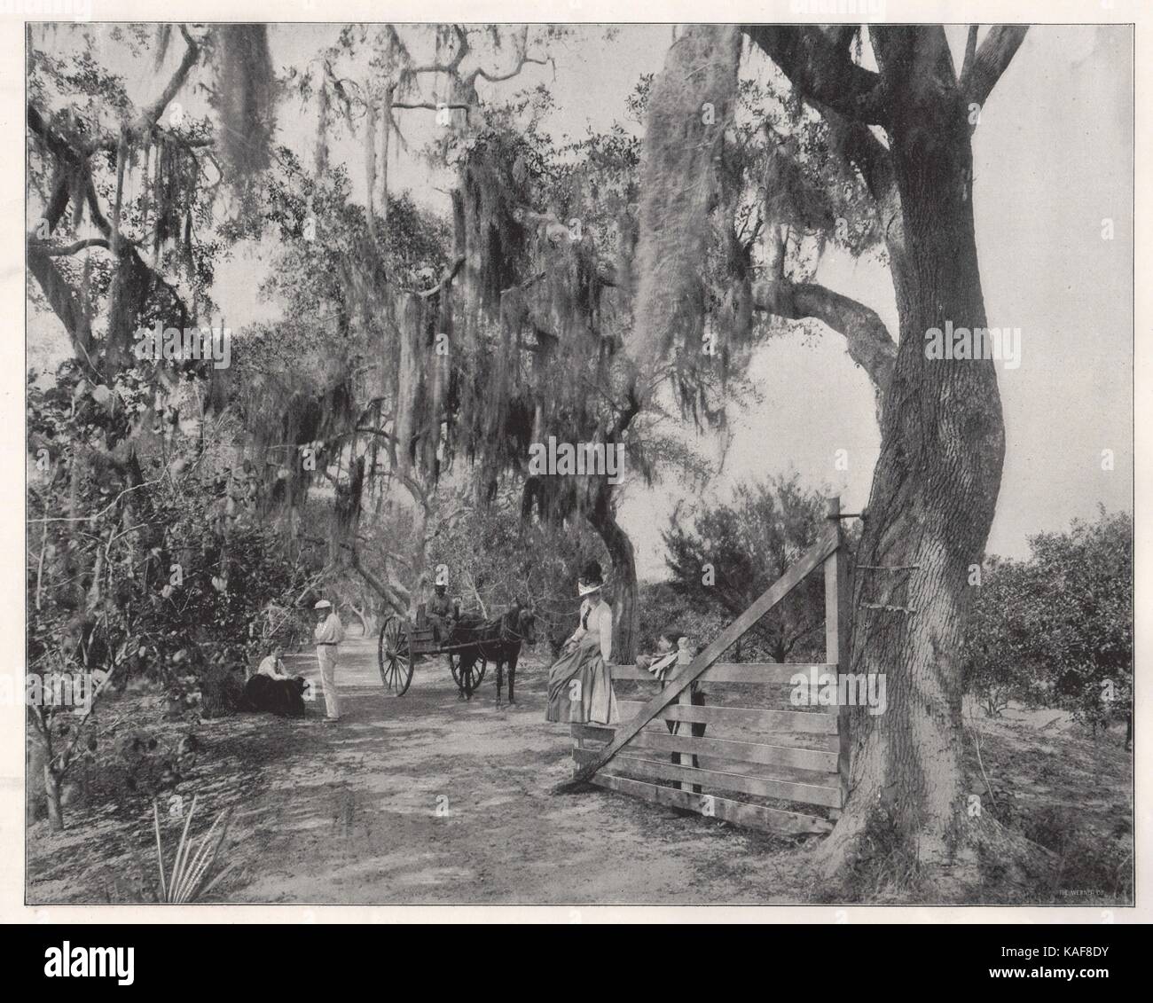 Photograph of lane hi-res stock photography and images - Alamy